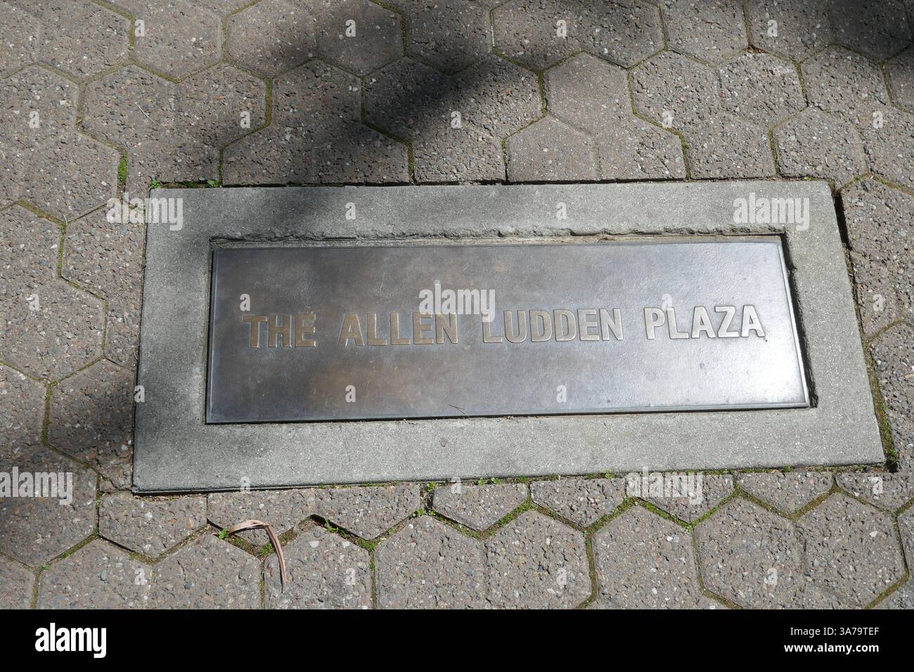 Los Angeles, California, USA 25th March 2025 The Allen Ludden Plaza at ...