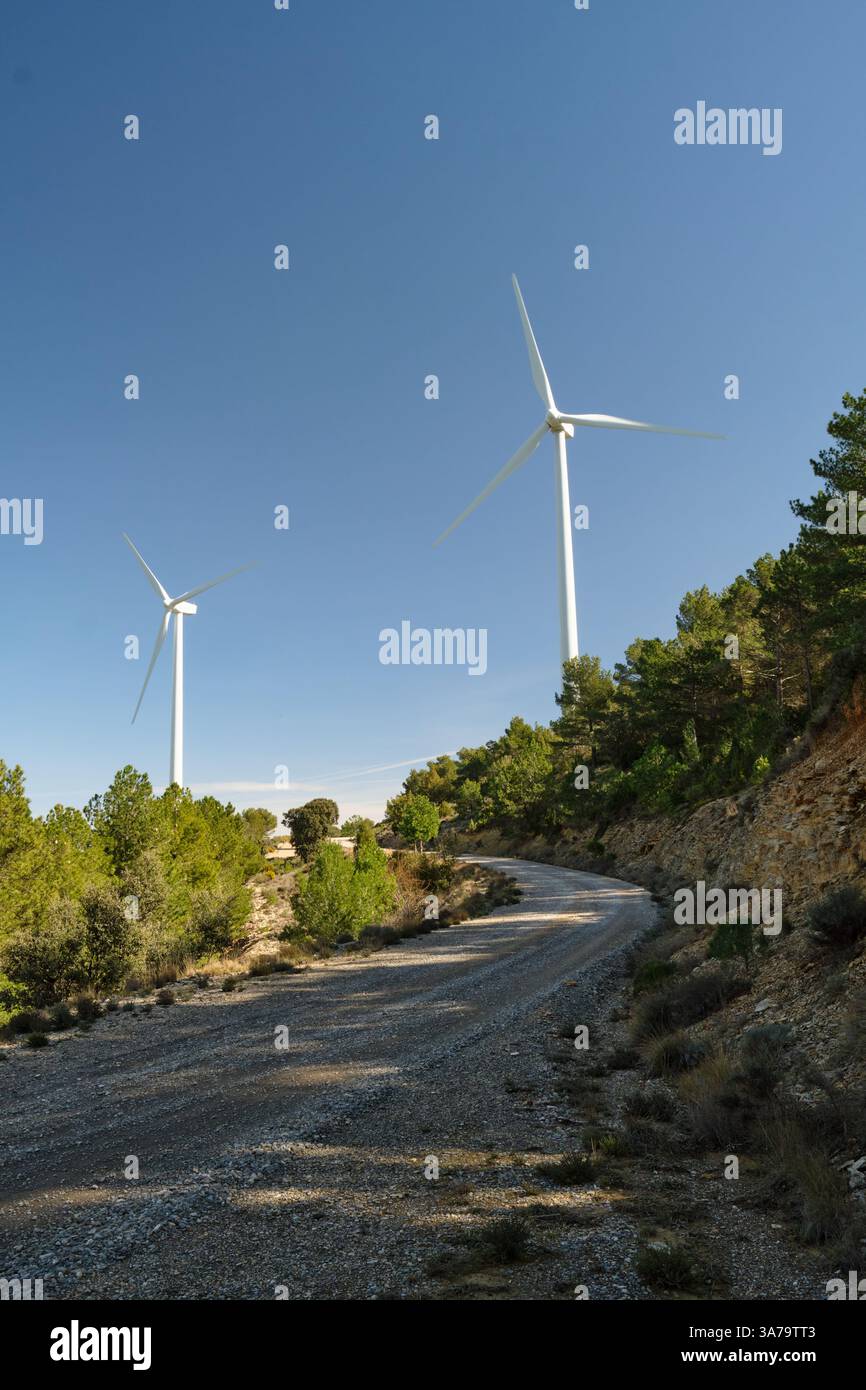 A wind turbine surrounded by the greenery of a forest against a blue ...