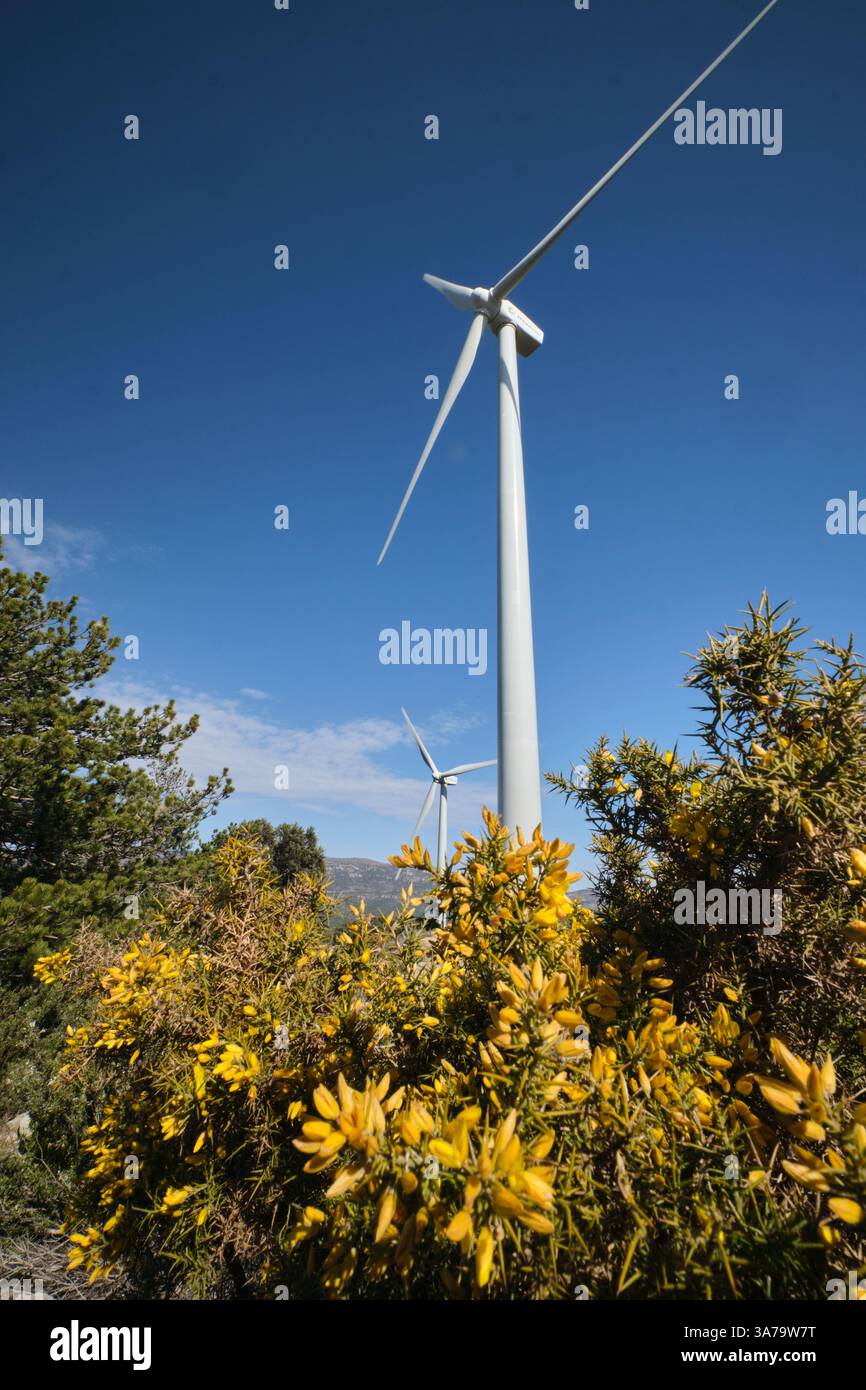 A wind turbine surrounded by the greenery of a forest against a blue ...