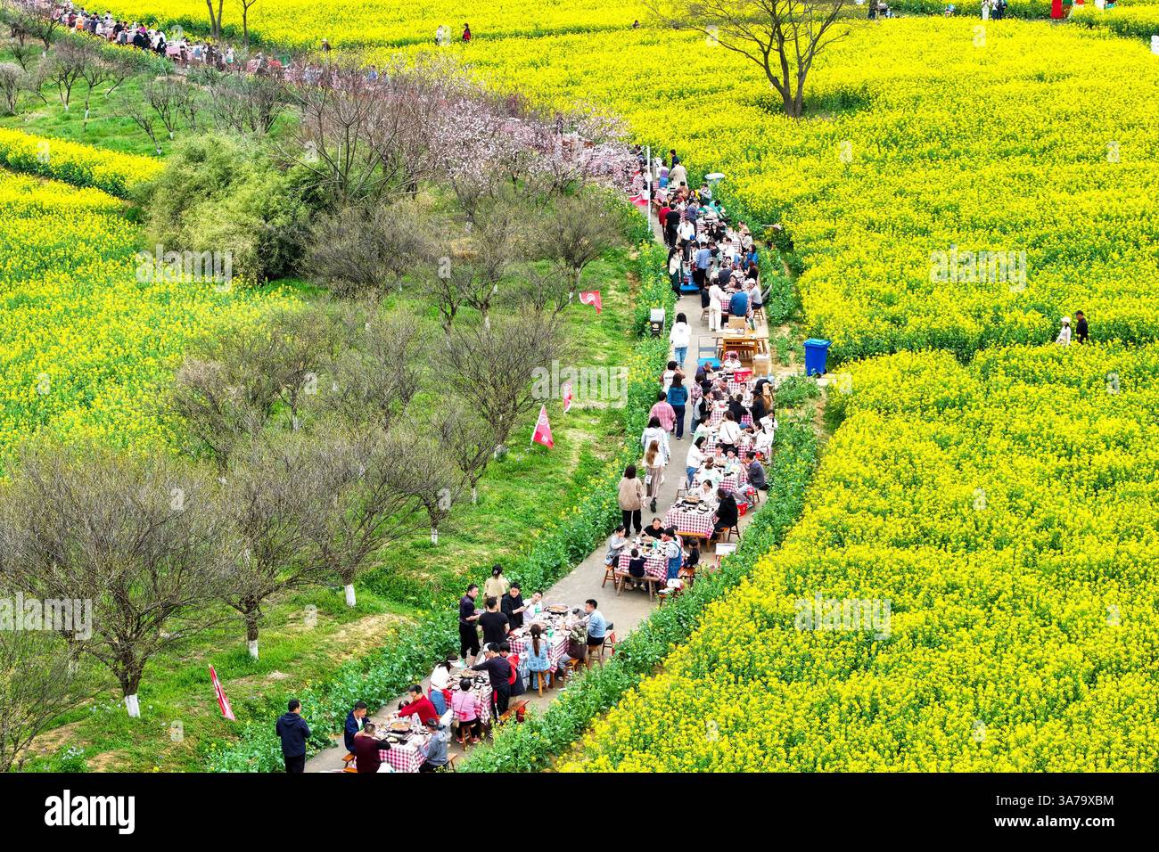 Tourists enjoy hotpot in the sea of cole flowers in Nanjing City, east ...
