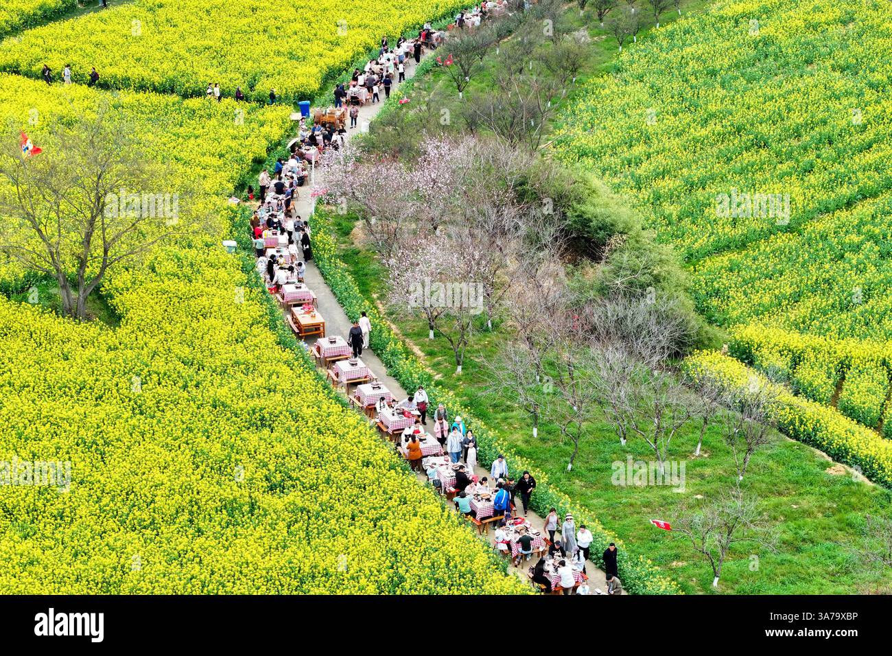Tourists enjoy hotpot in the sea of cole flowers in Nanjing City, east ...