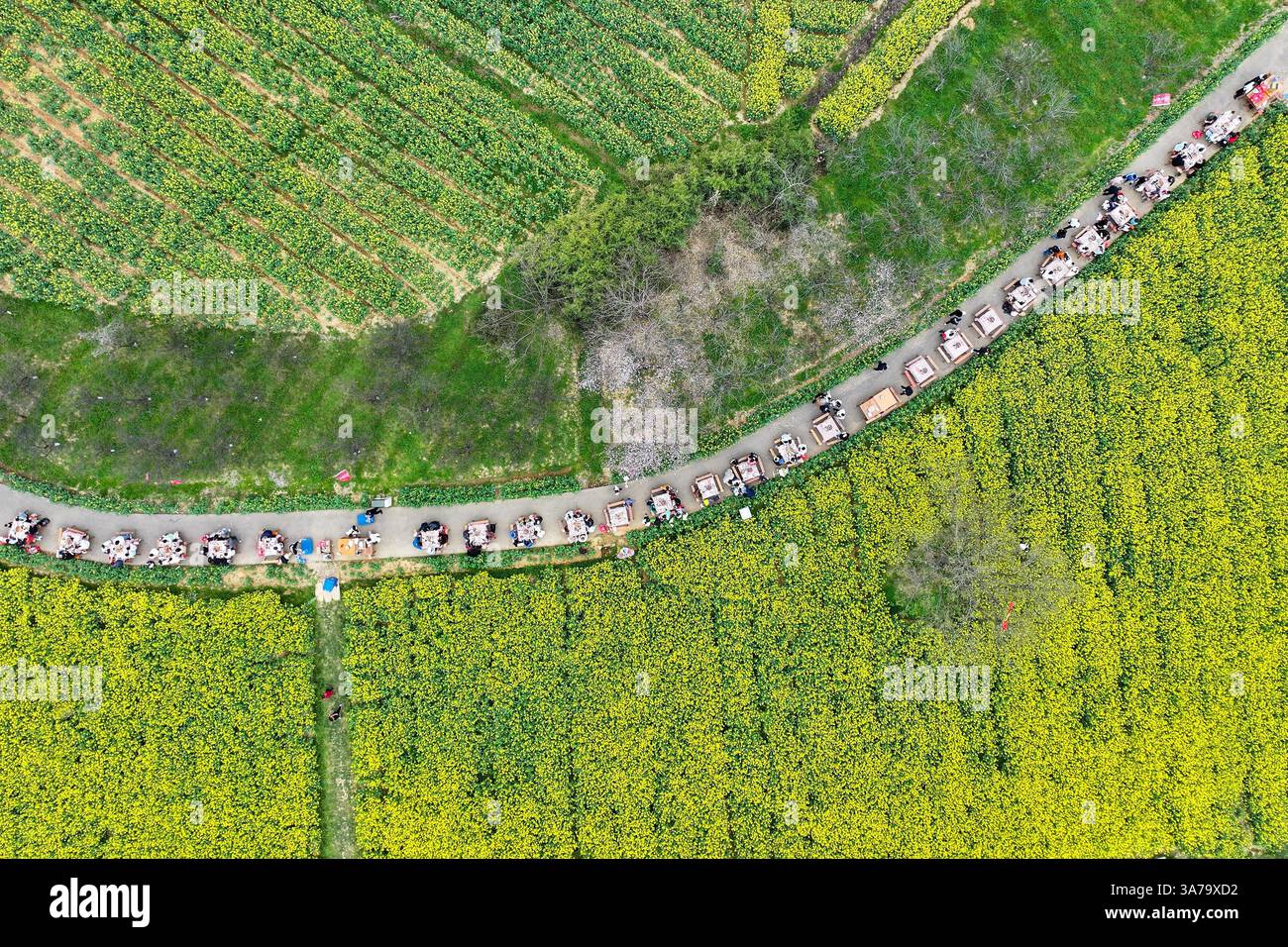 Tourists enjoy hotpot in the sea of cole flowers in Nanjing City, east ...