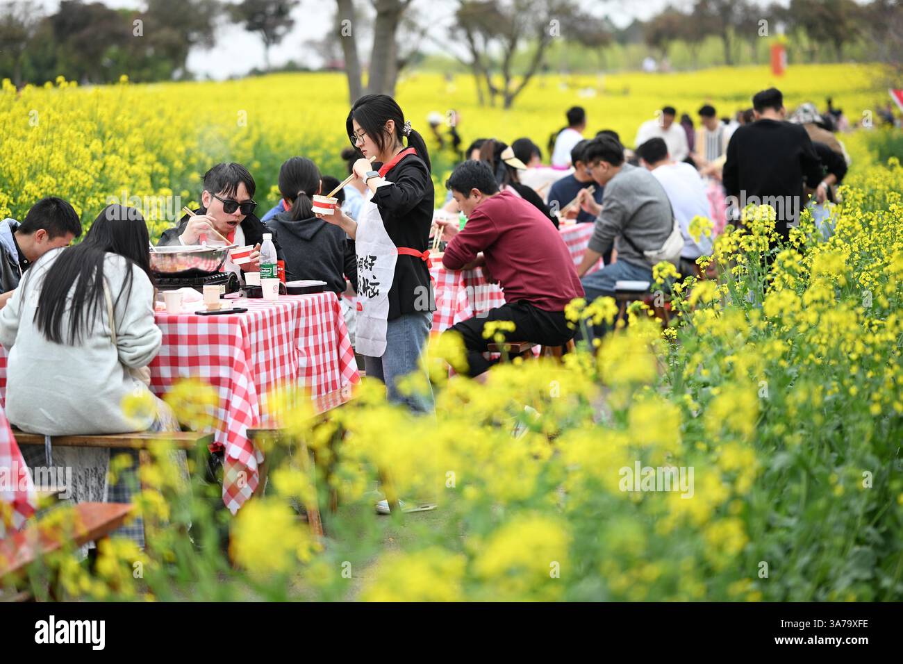 Tourists enjoy hotpot in the sea of cole flowers in Nanjing City, east ...