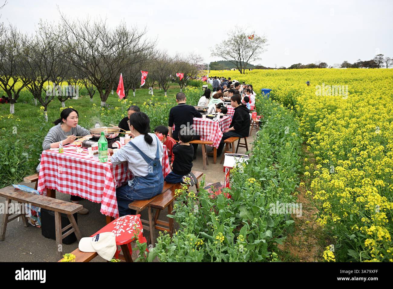 Tourists enjoy hotpot in the sea of cole flowers in Nanjing City, east ...