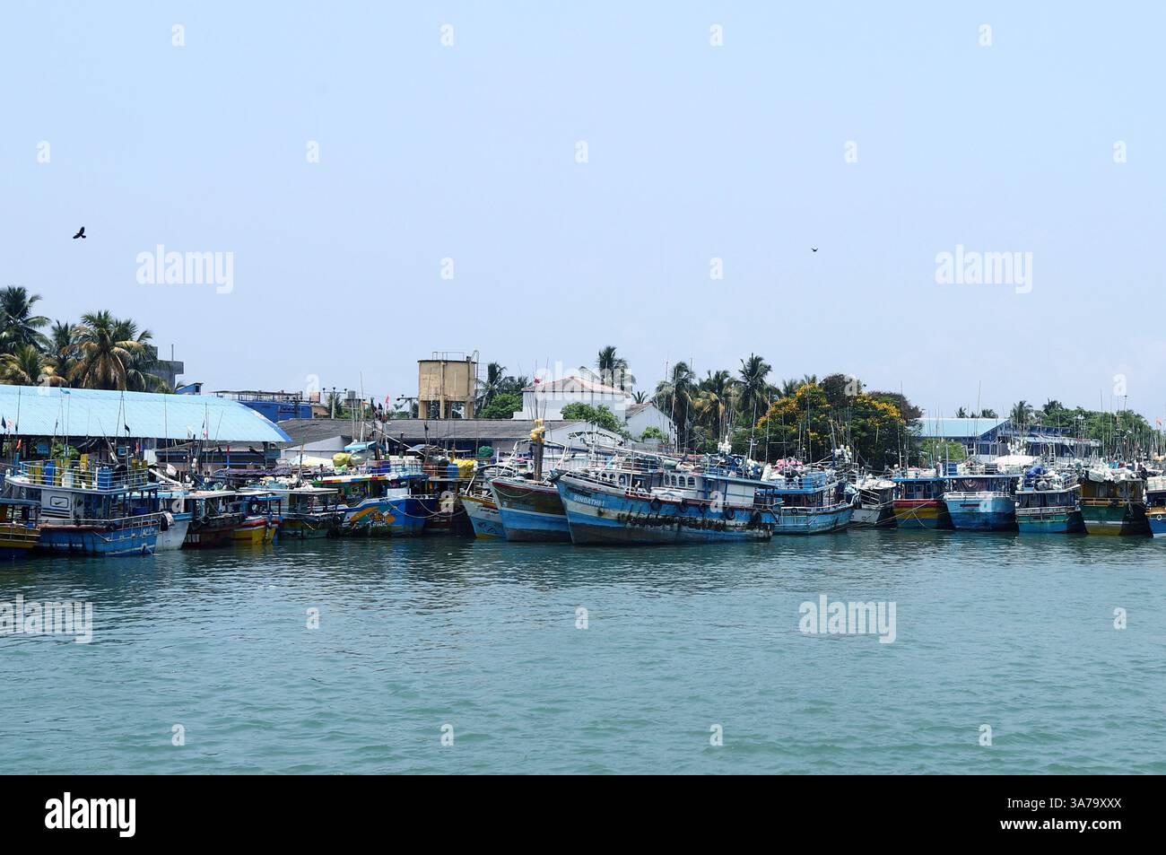 (250327) -- NEGOMBO, March 27, 2025 (Xinhua) -- This photo taken on ...