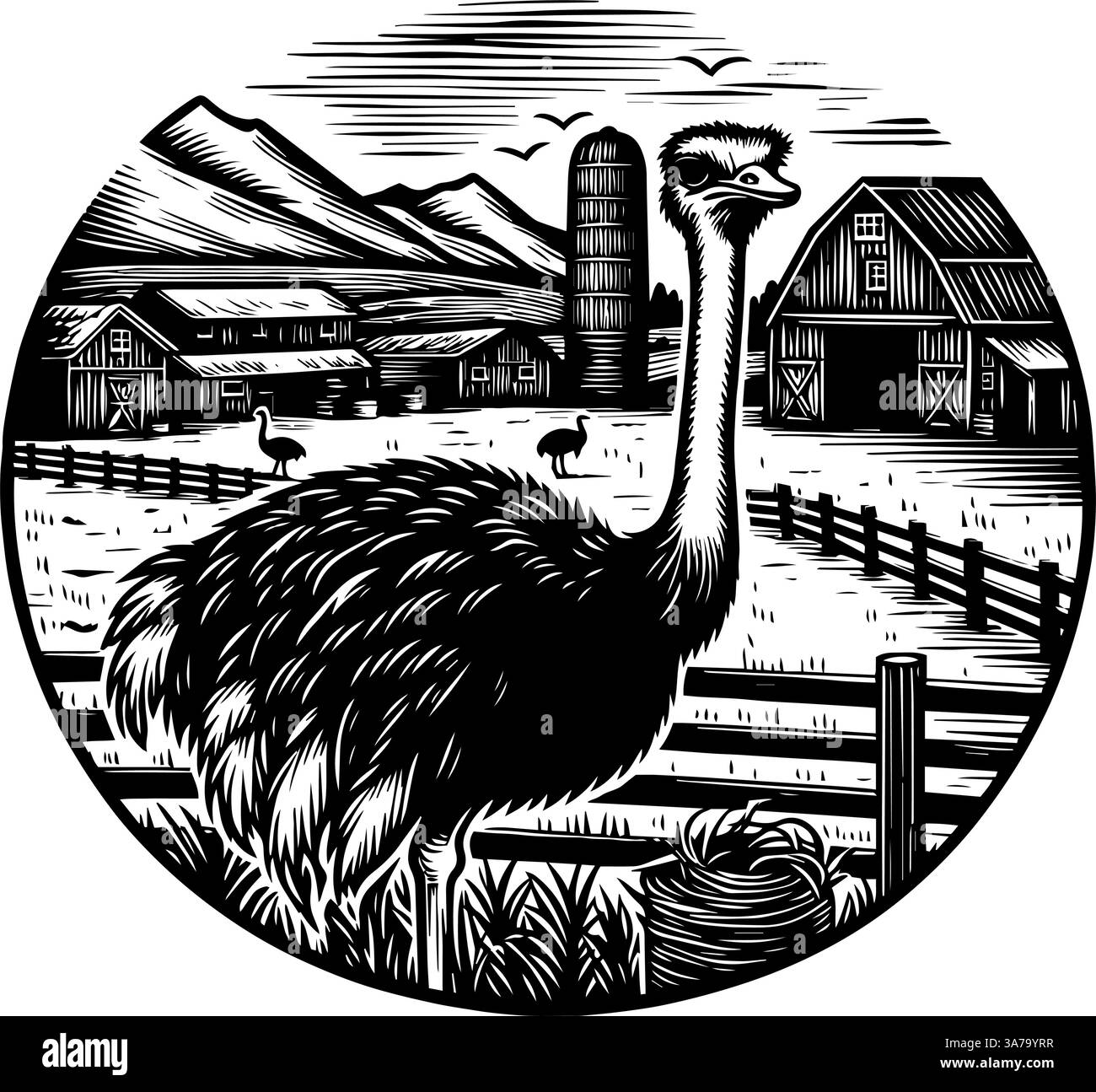 Ostrich Farm Landscape. Circular woodcut illustration of an ostrich in ...