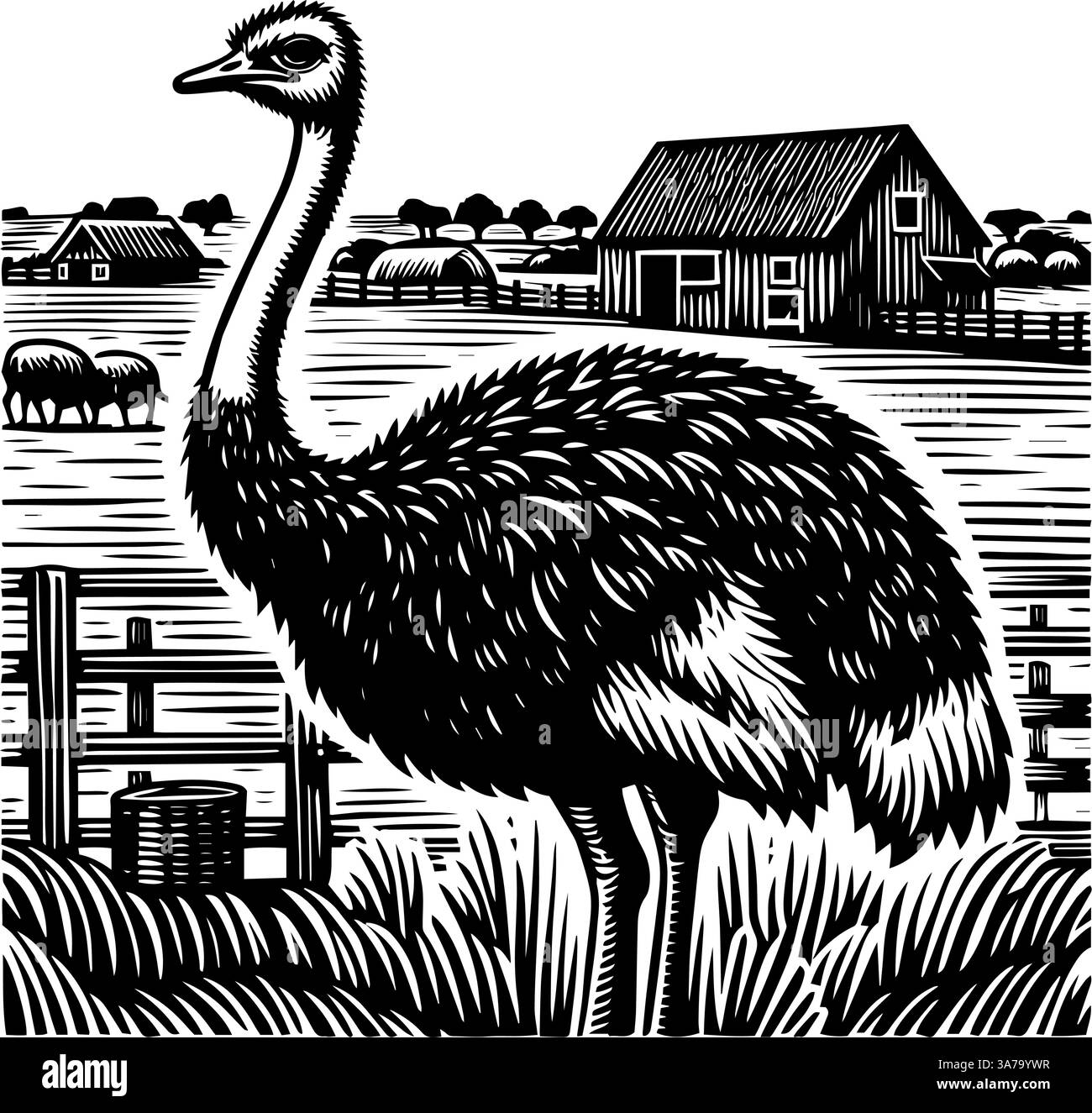Ostrich on a Farm. Woodcut illustration of a large bird on a rural ...