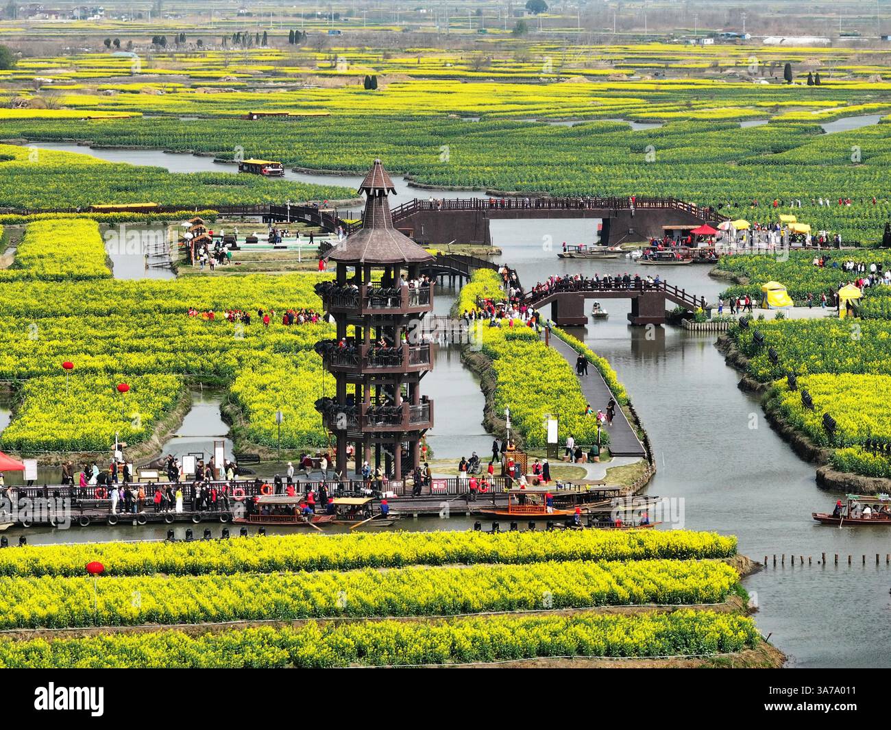 Aerial photo shows the Qianduo Cole Flower Scenic Area in Xinghua City ...