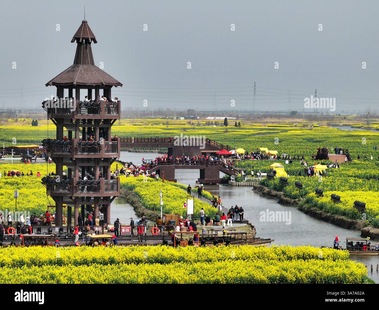 Aerial photo shows the Qianduo Cole Flower Scenic Area in Xinghua City ...