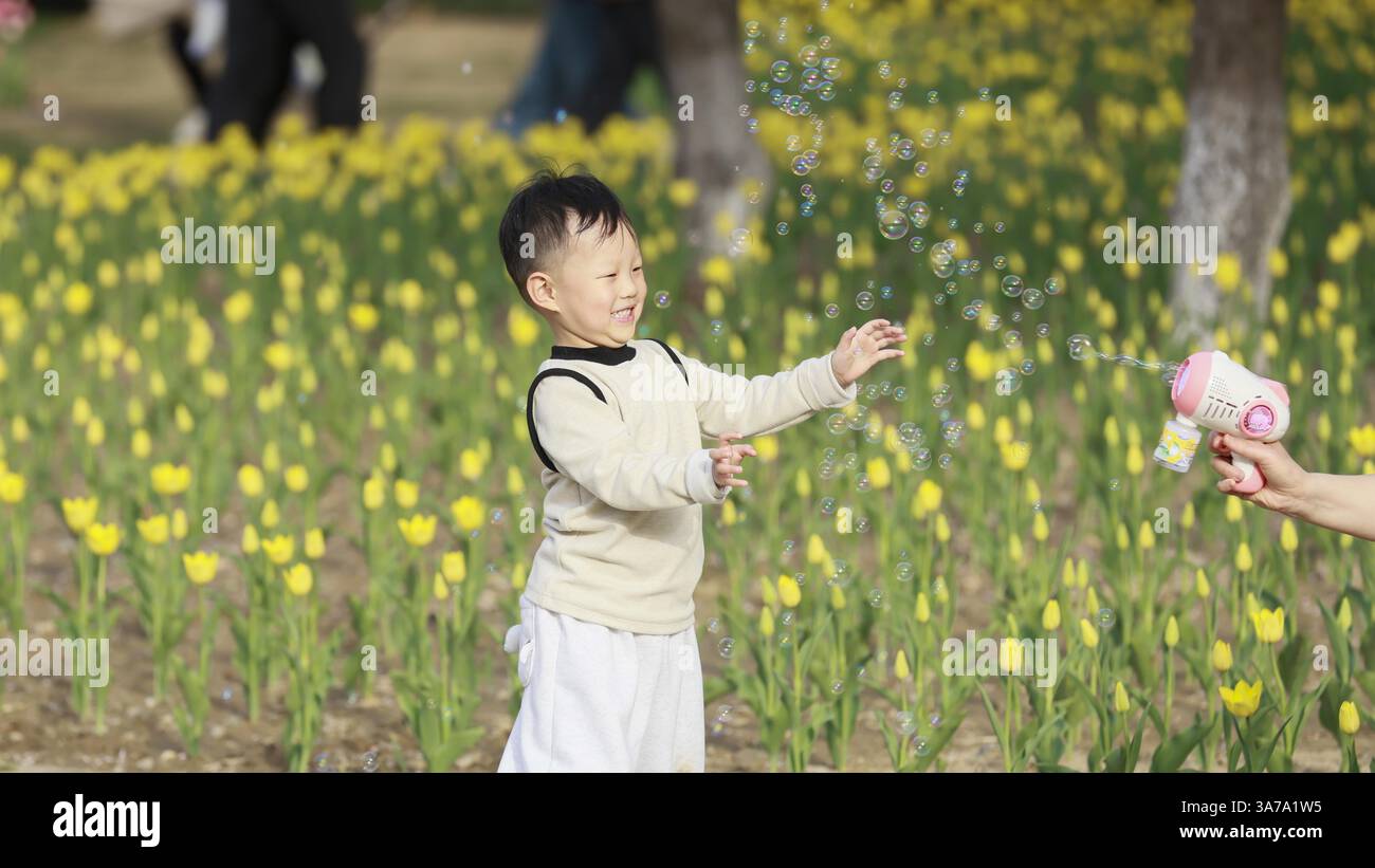 Tulip flowers attract people at a park in Huai'an City, east China's ...