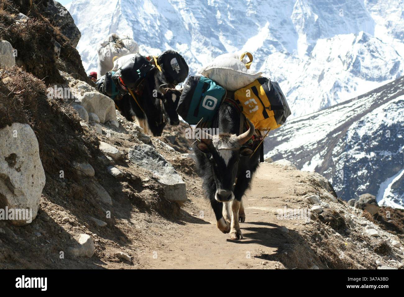 Extraordinaire trek au Nepal pour voir l'Everest depuis Kalapathar en ...