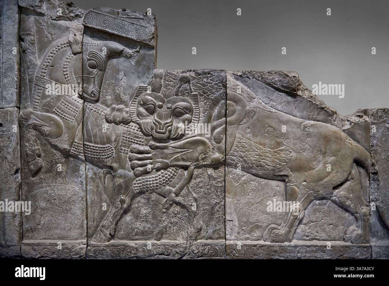 Ancient Persian Achaemenid bas relief sculpture panel showing a lion ...
