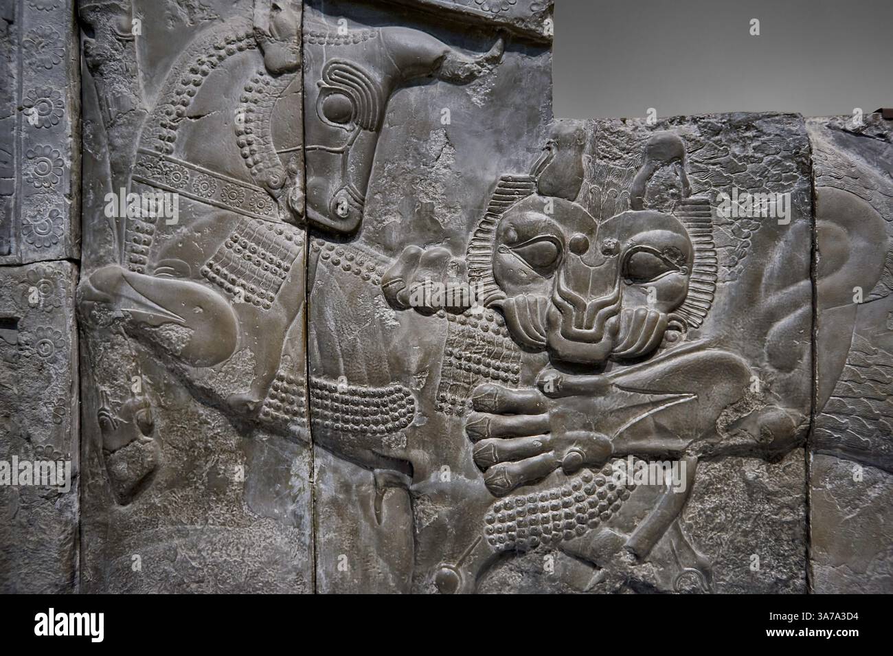 Ancient Persian Achaemenid bas relief sculpture panel showing a lion ...