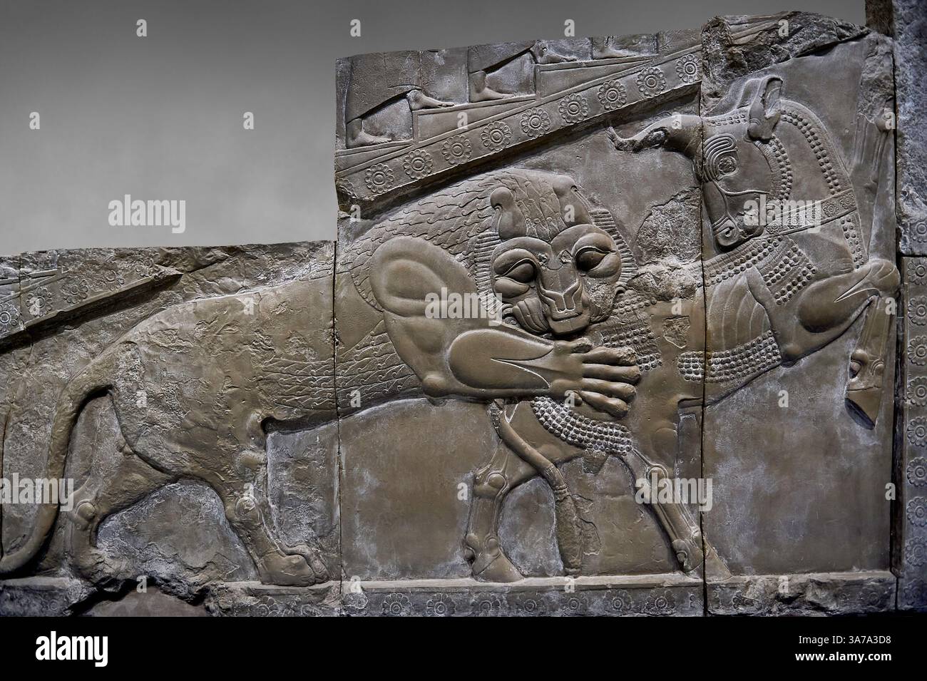 Ancient Persian Achaemenid bas relief sculpture panel showing a lion ...