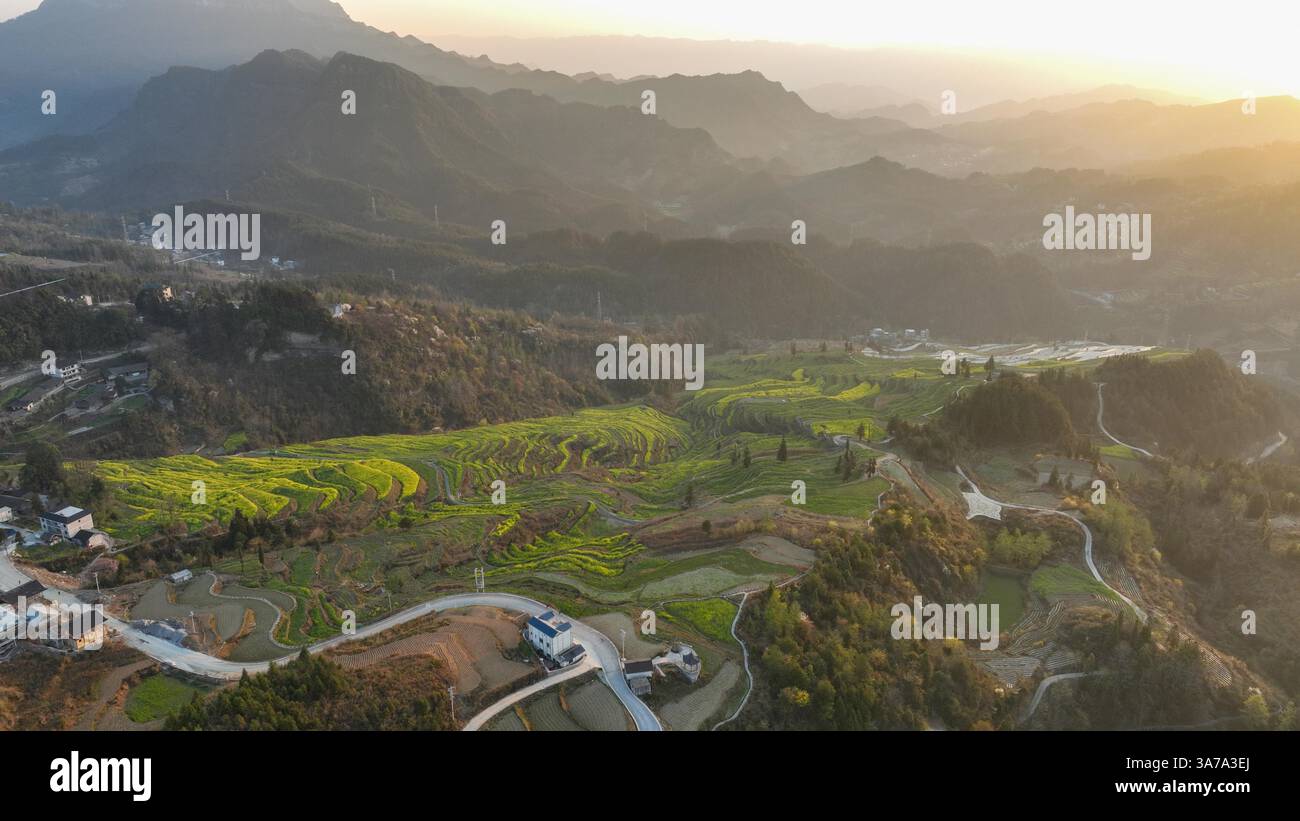 Aerial photo shows the terraced field in Youyang County, Chongqing ...