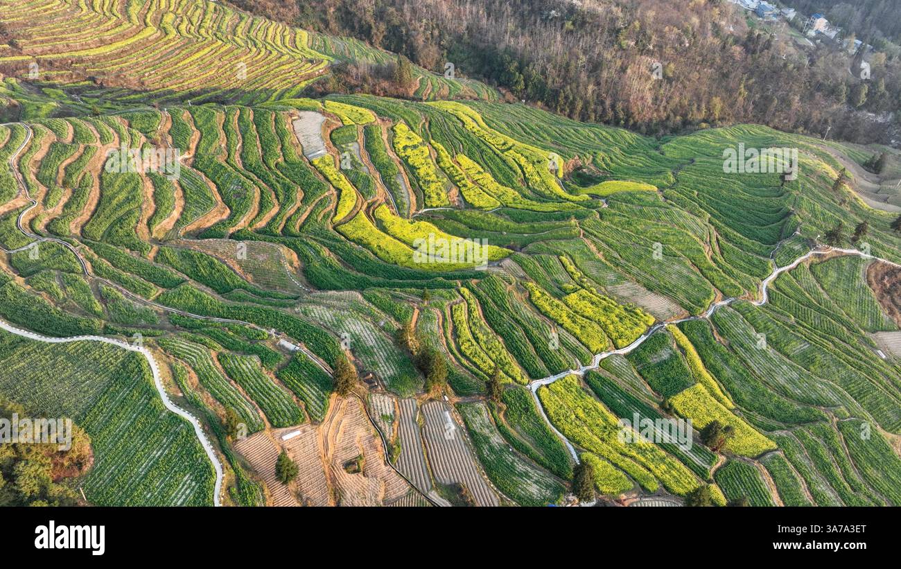 Aerial photo shows the terraced field in Youyang County, Chongqing ...