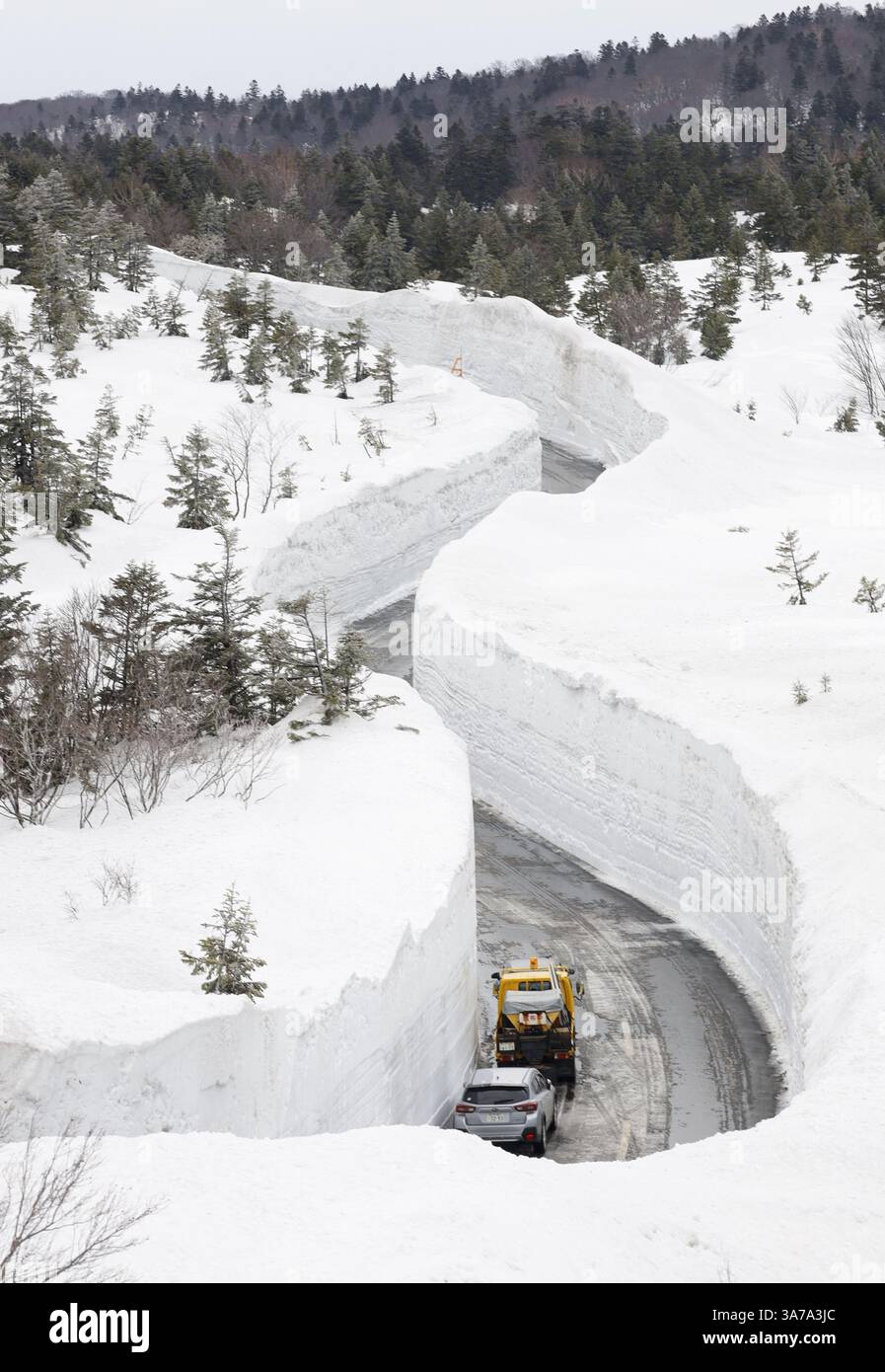Photo taken March 27, 2025, shows a "snow corridor" created every ...