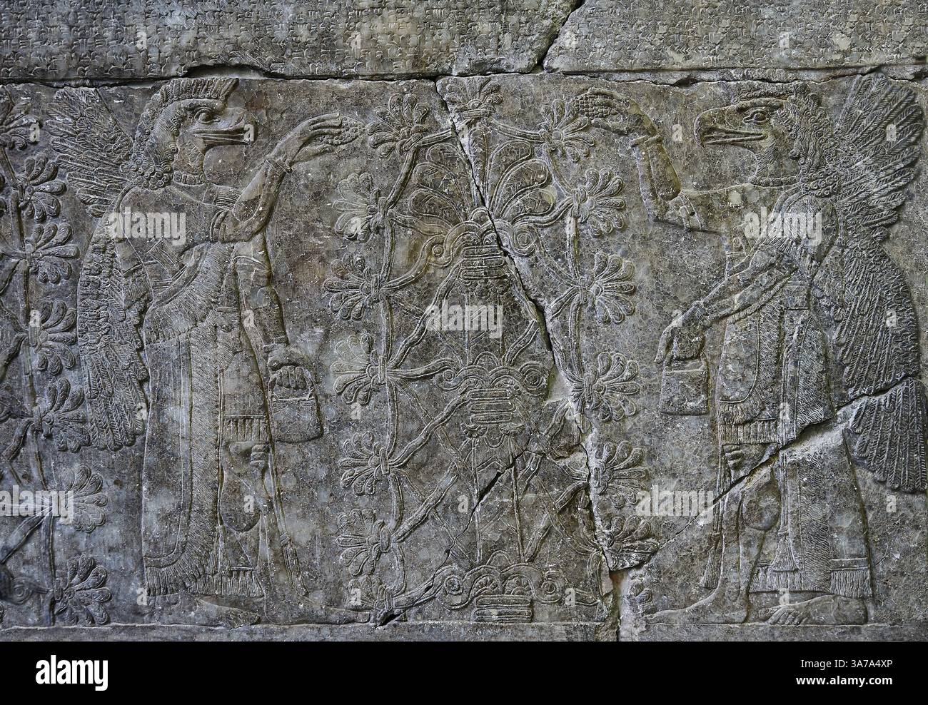 Ancient Neo Assyrian alabaster palace relief sculpture depicting Niroch ...