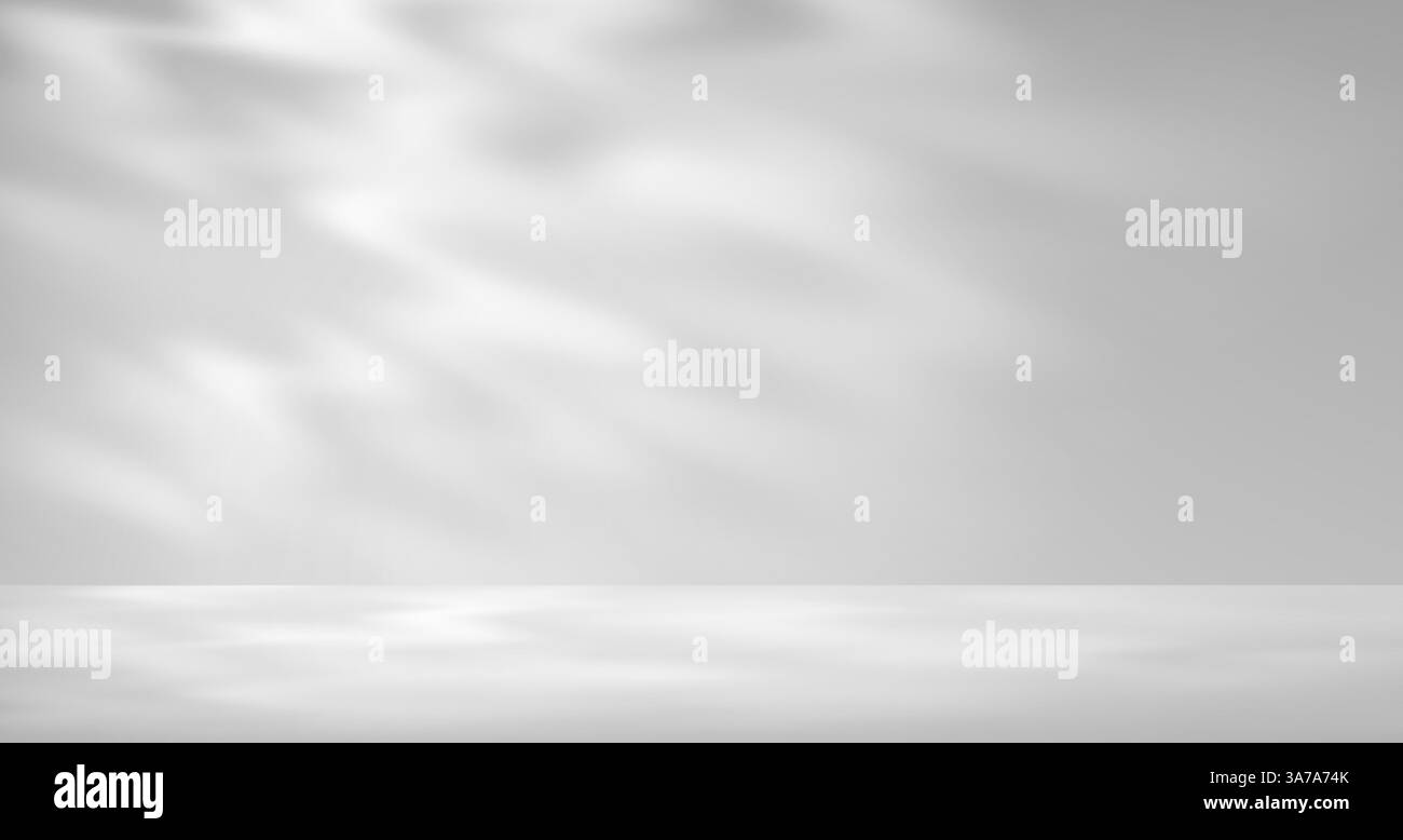 White empty room bg, abstract studio limbo light background. 3d vector ...