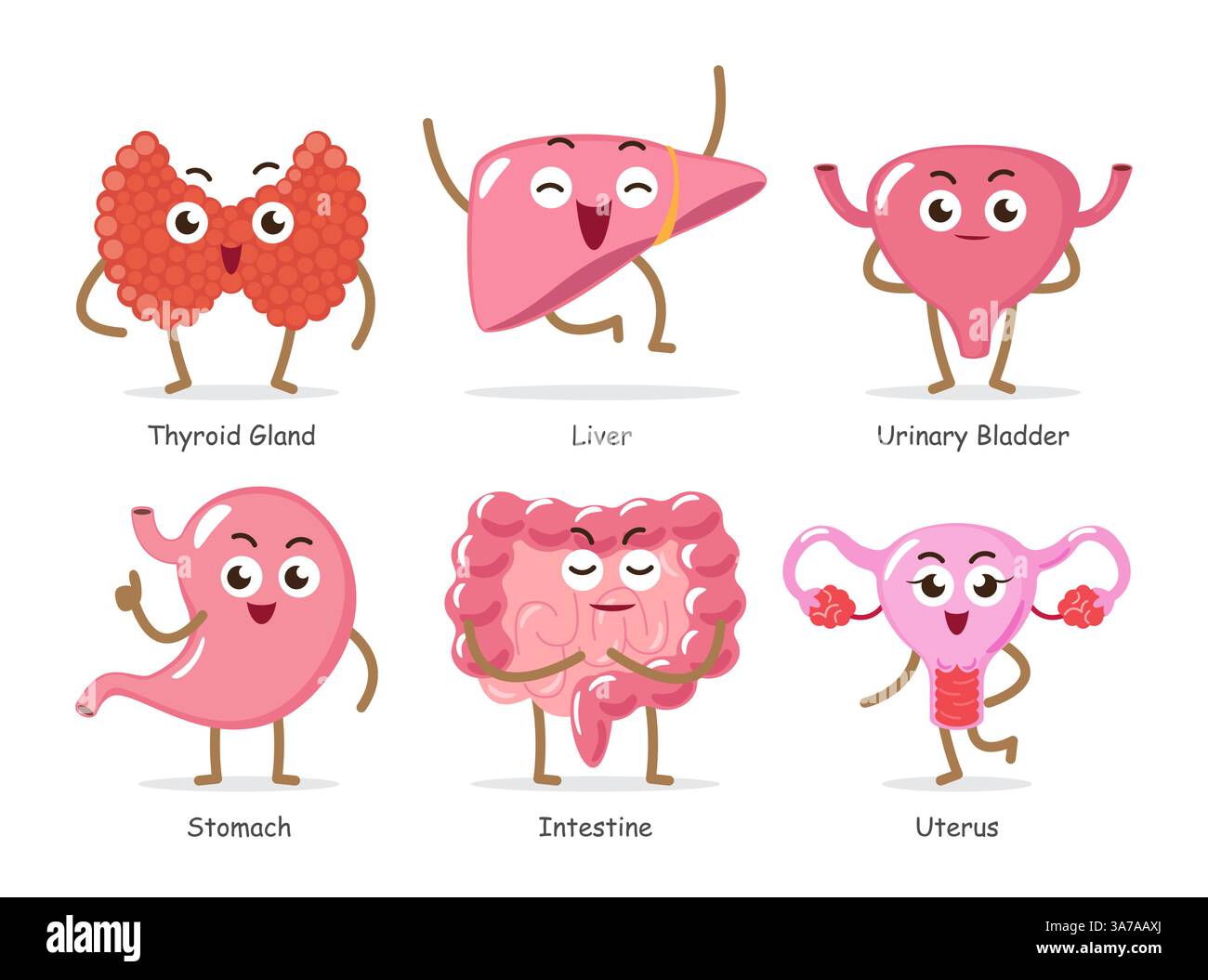 Human internal organs . Set of funny medical cartoon characters ...