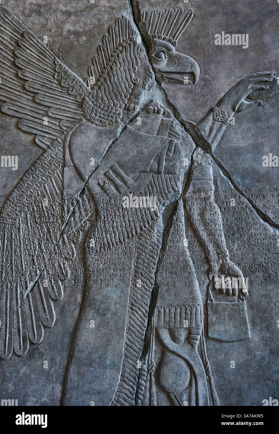 Ancient Neo Assyrian alabaster palace relief sculpture depicting Niroch, a winged eagle god ...