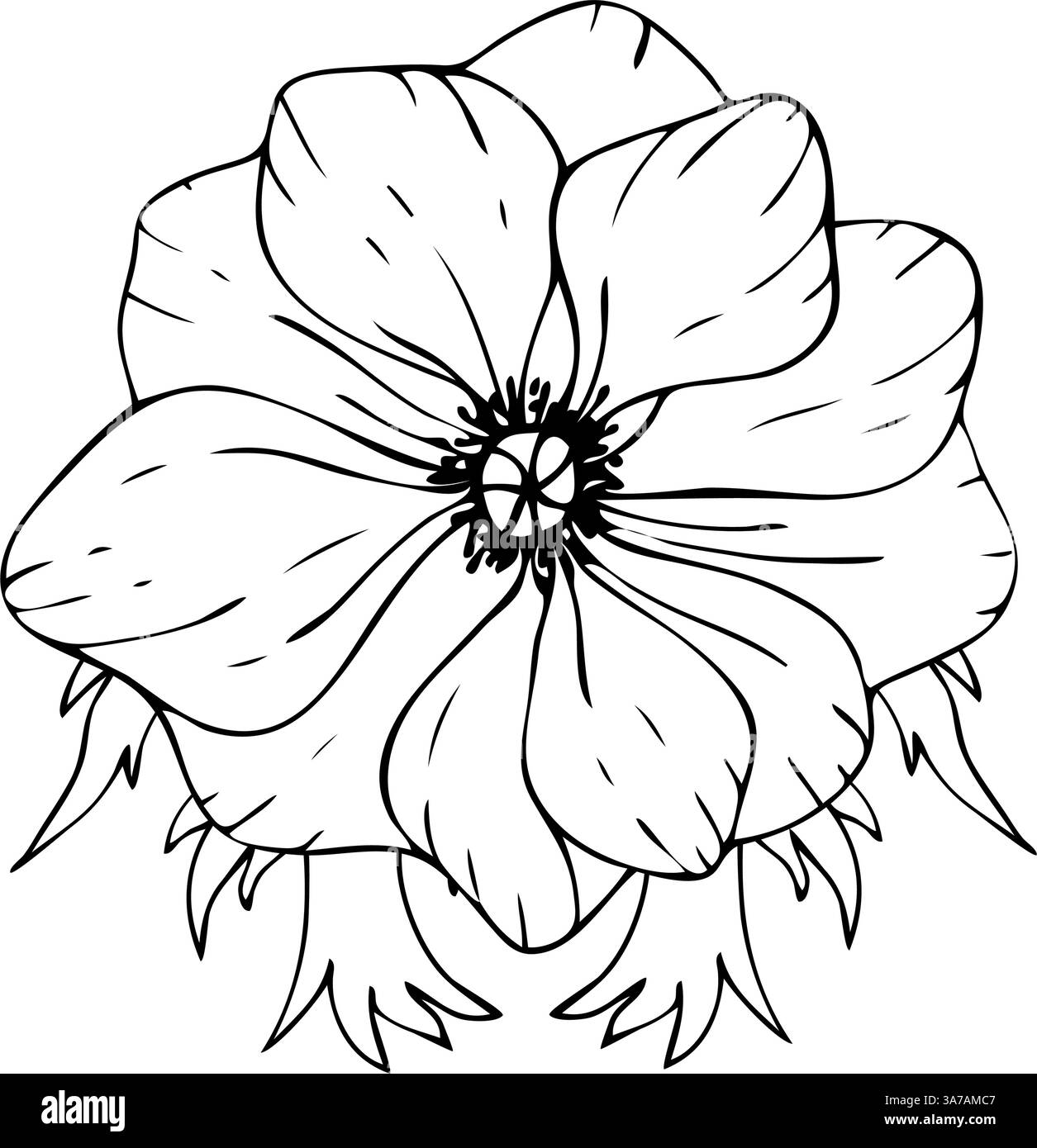 Hand drawn line art Black and White Stock Photos & Images - Alamy