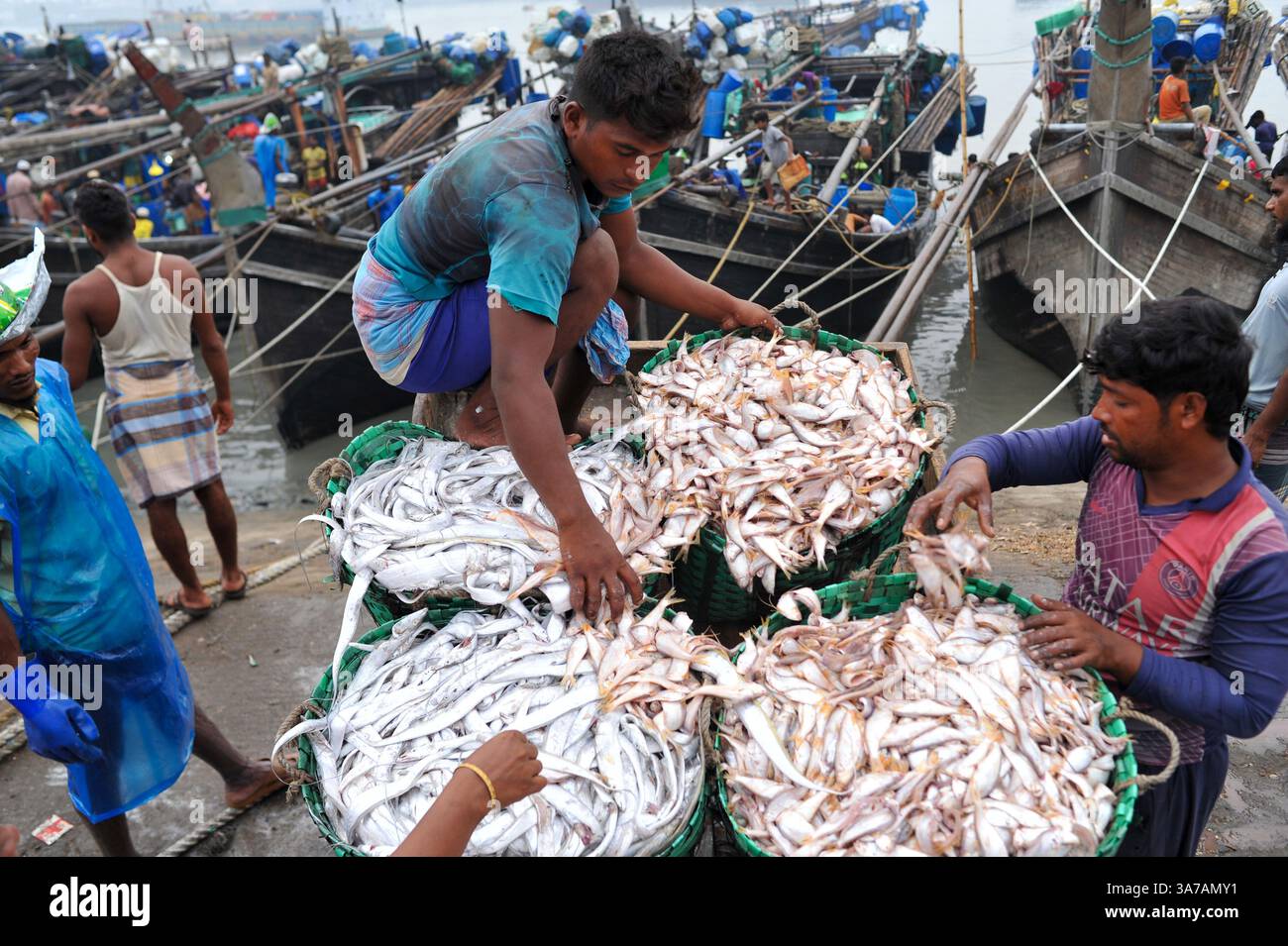 Workers are at the Chattogram Fishery Ghat before sunrise, located ...