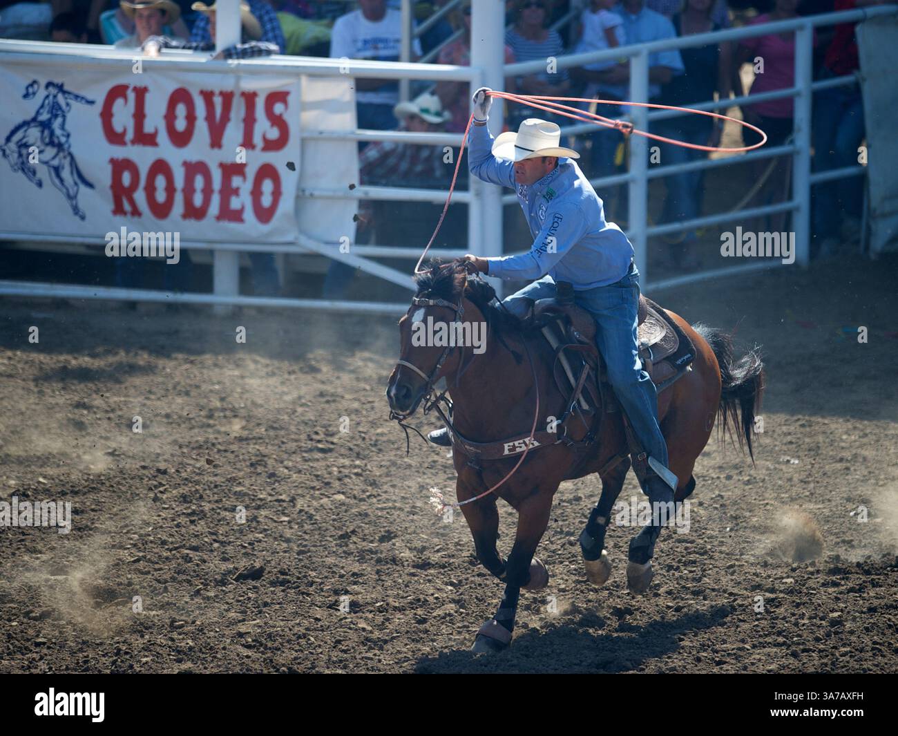 Billings mt hi-res stock photography and images - Alamy