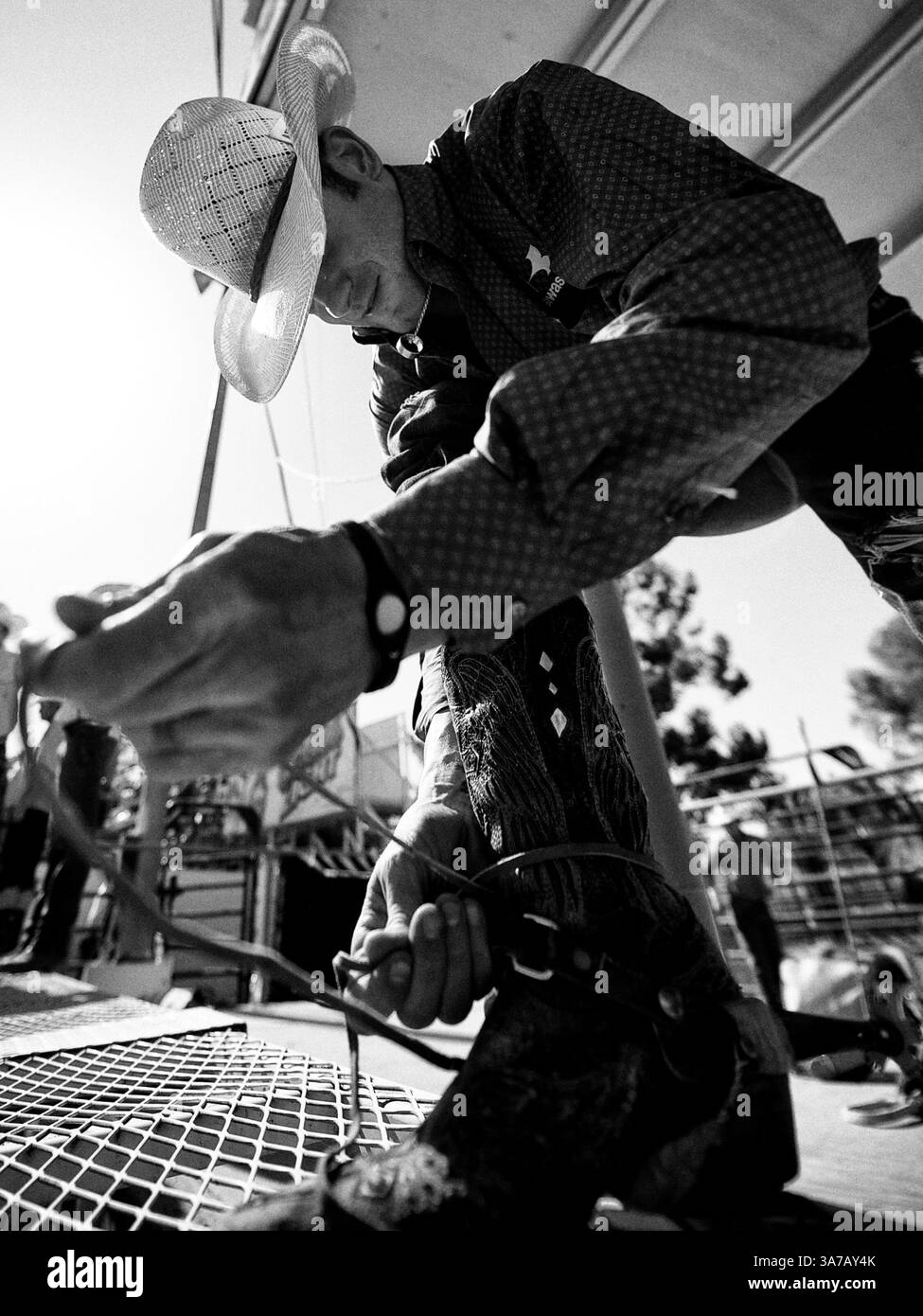 Credit image matt Black and White Stock Photos & Images - Alamy