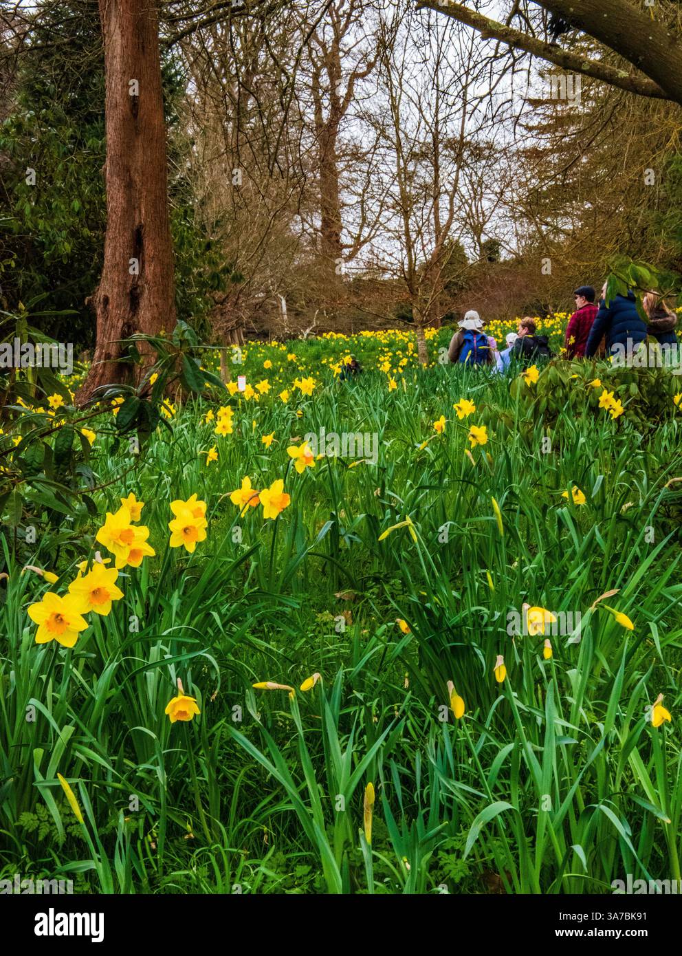 Hever Castle Gardens, Hever, Kent, England Stock Photo - Alamy