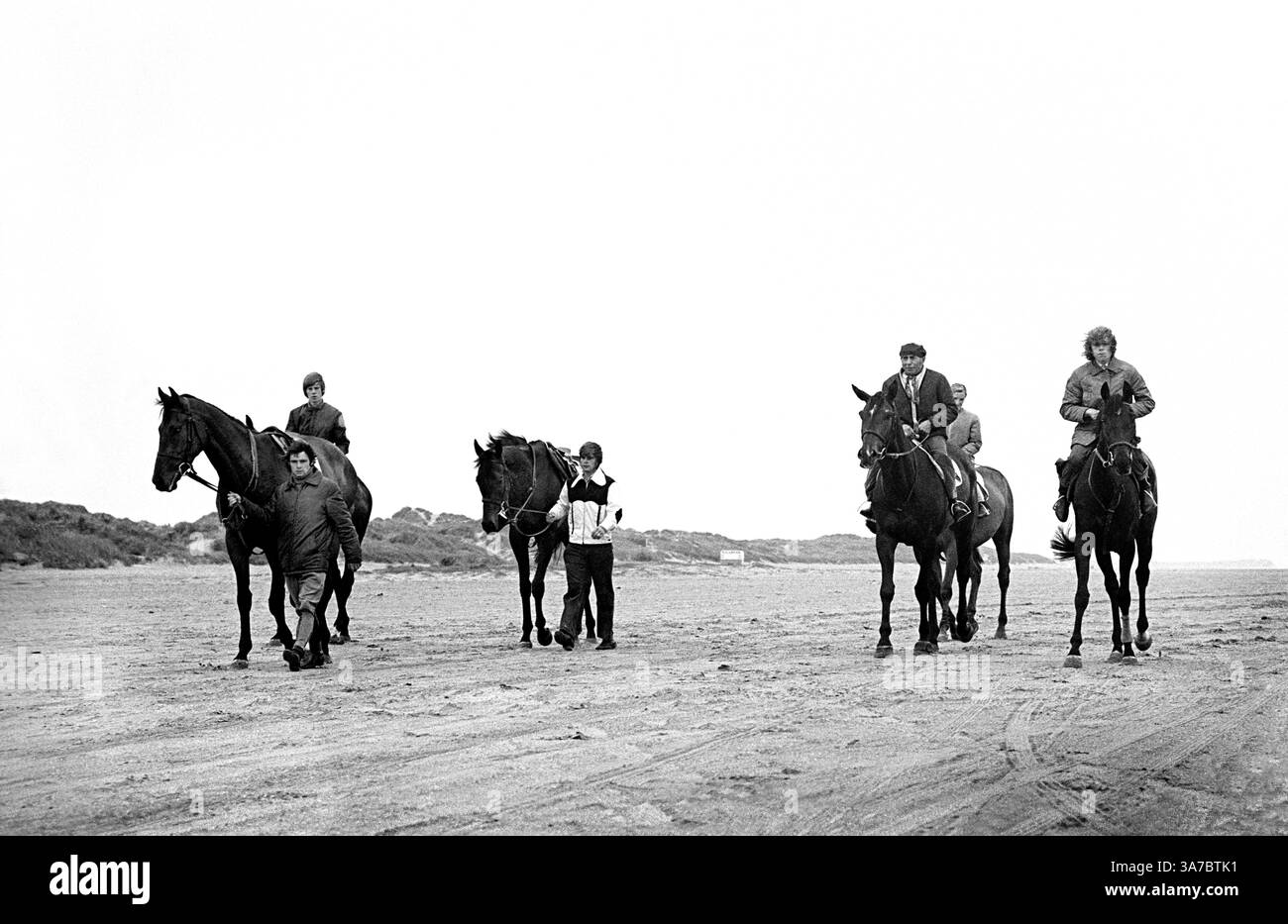 Red Rum on his Summer holiday in a Lancashire field Stock Photo - Alamy