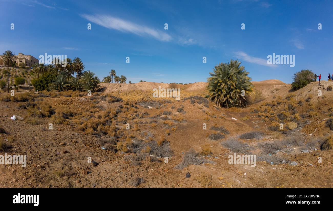 A desert landscape with sparse vegetation and palm trees under a clear ...