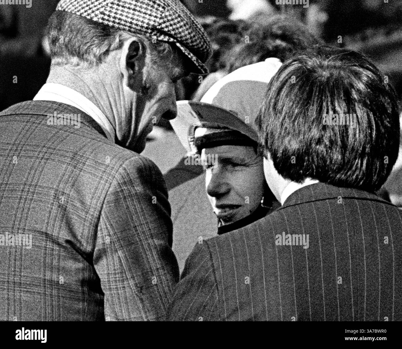 Red Rum on his Summer holiday in a Lancashire field Stock Photo - Alamy