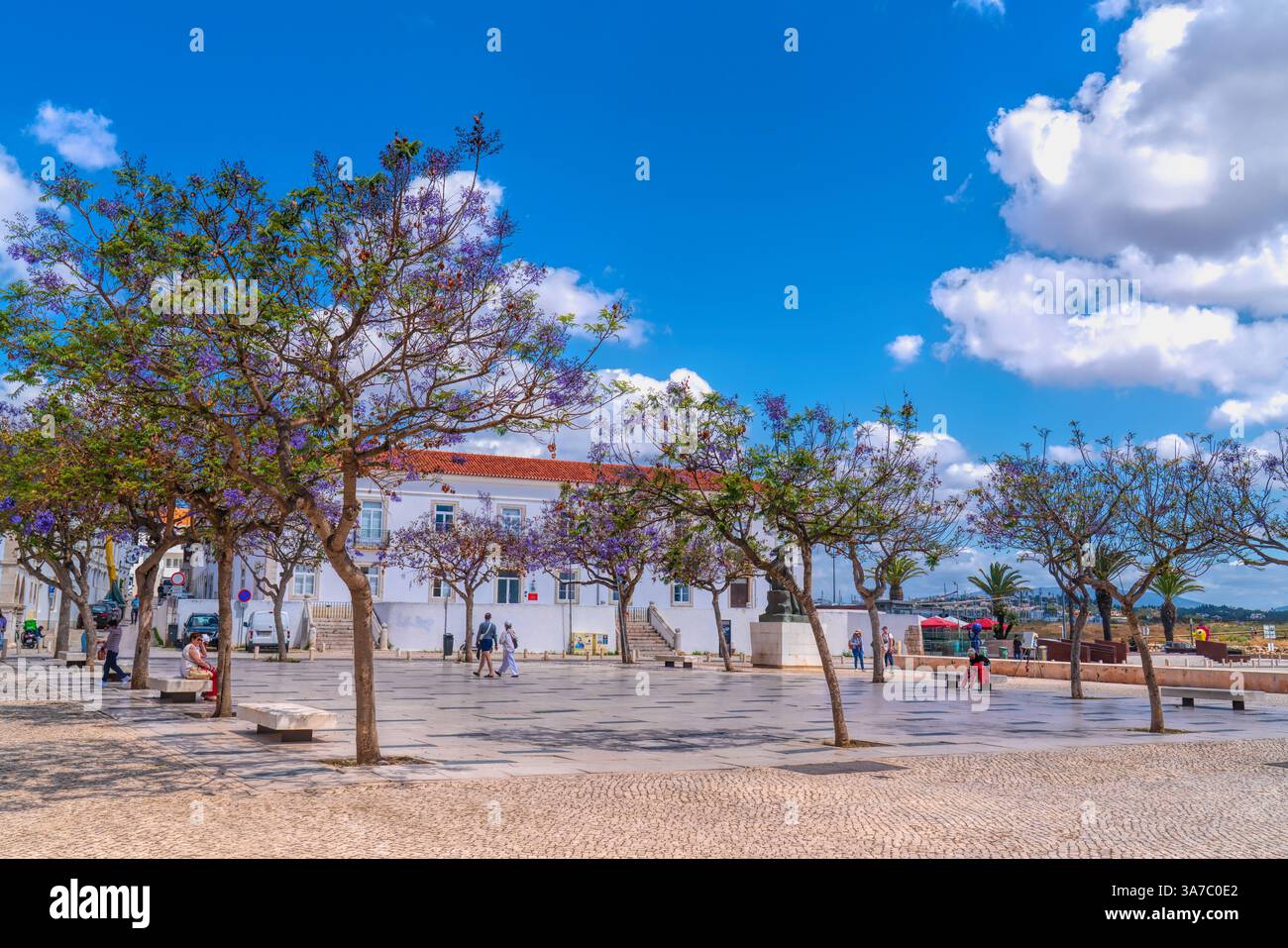 Lagos Portugal old town square with purple jacaranda trees and people ...