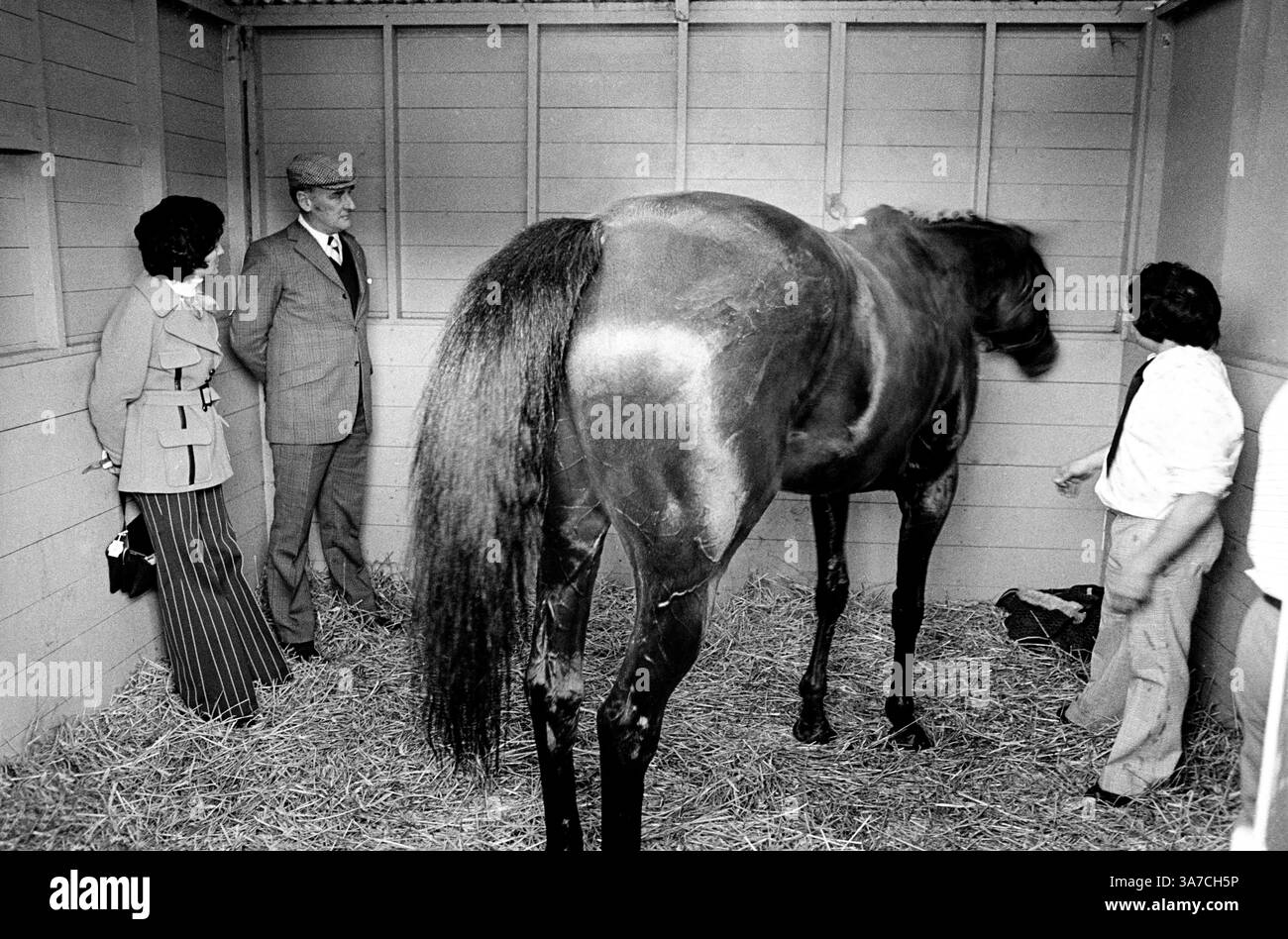 Beryl & Ginger McCain with Red Rum and Billy Ellison at Kempton Park in ...