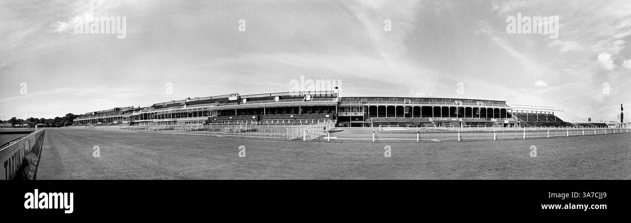Red Rum on his Summer holiday in a Lancashire field Stock Photo - Alamy