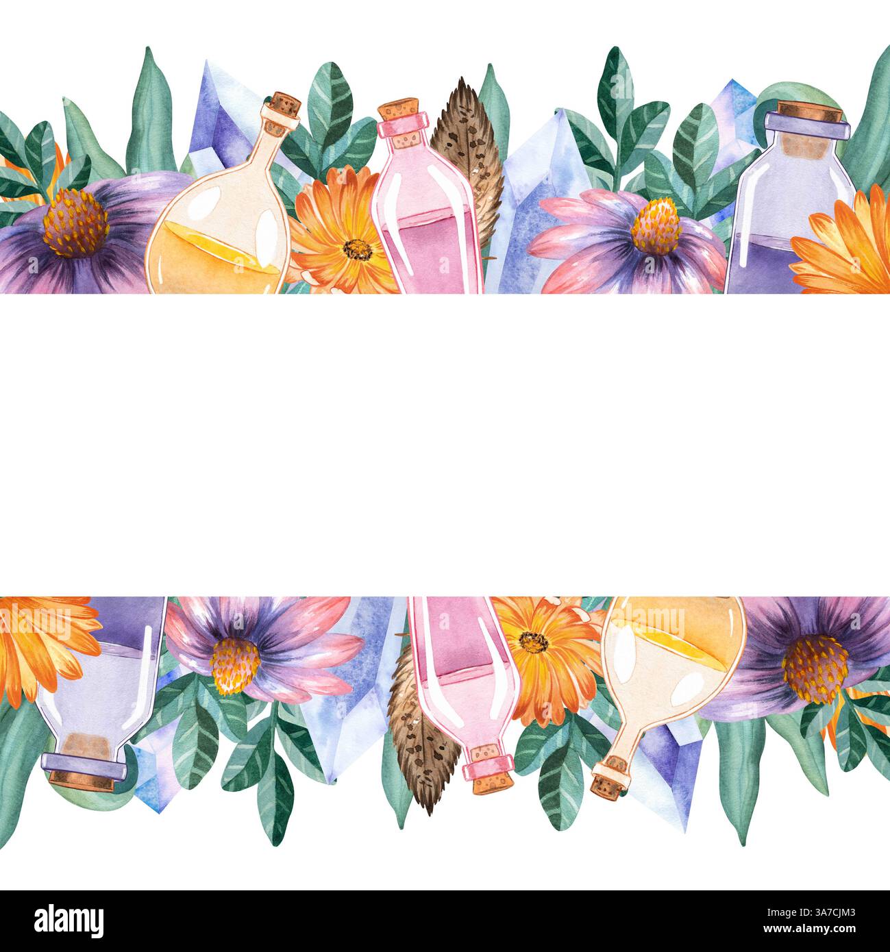 Herbology, frame, flowers, rose, calendula, echinacea, rosemary, leaves ...