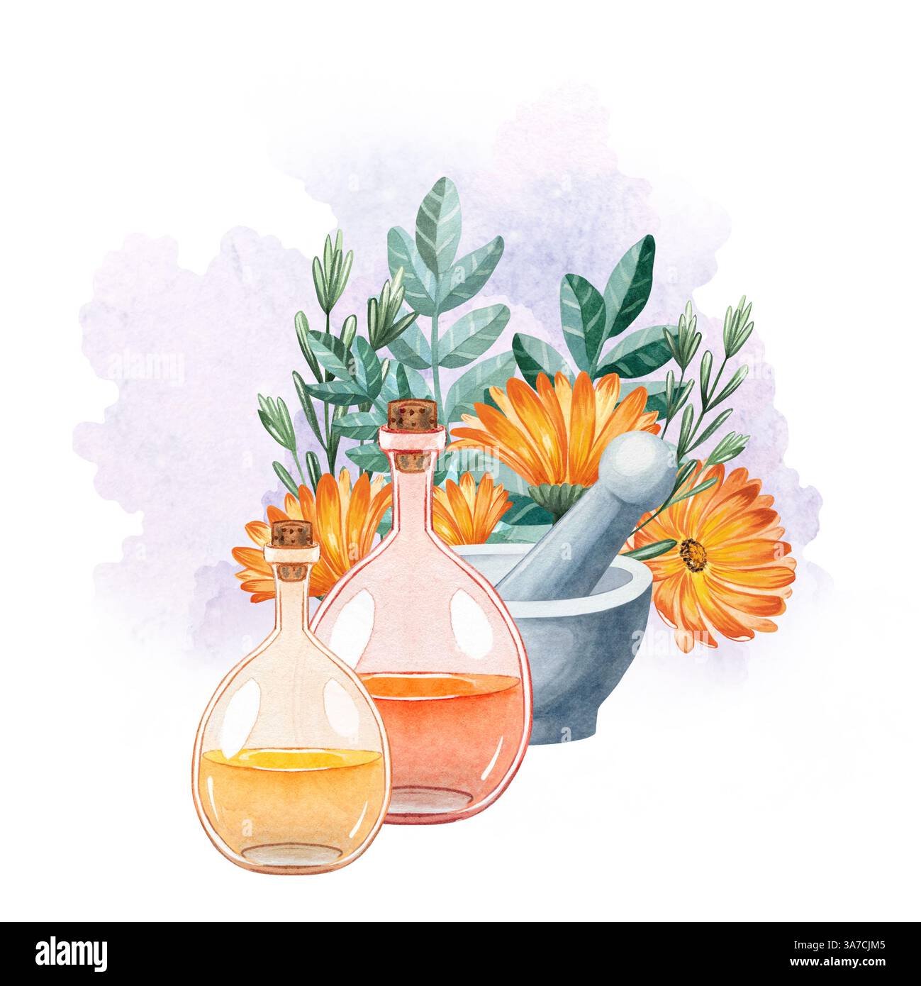 Herbology, flowers, rose, calendula, echinacea, rosemary, leaves ...