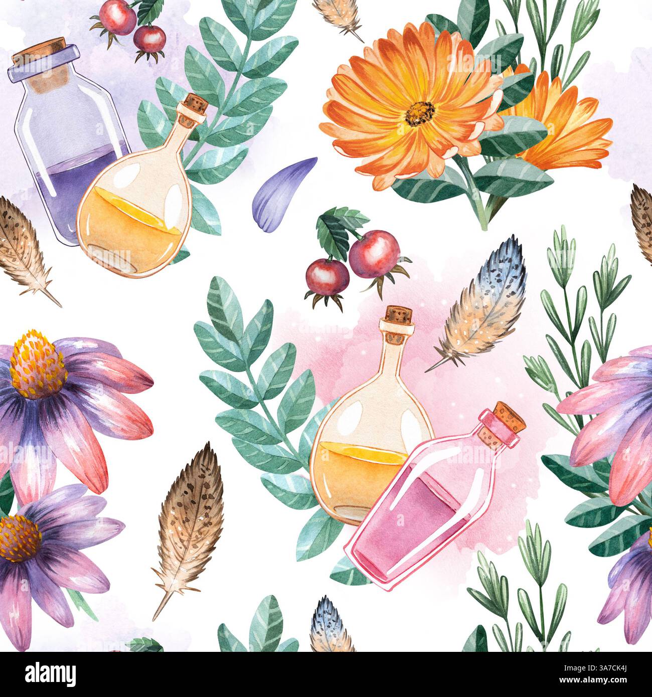 Herbology, seamless pattern, flowers, rose, calendula, echinacea ...