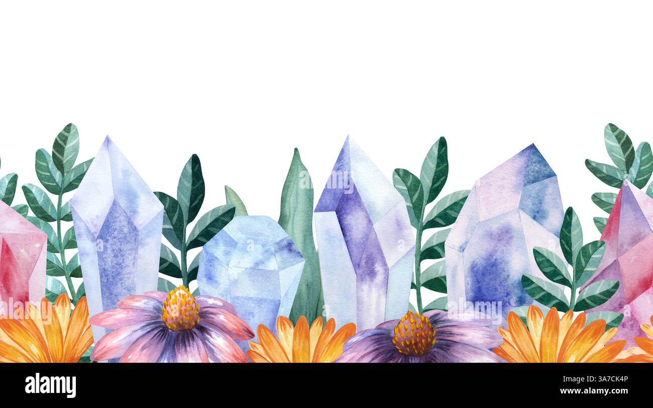 Herbology, seamless border, flowers, rose, calendula, echinacea ...