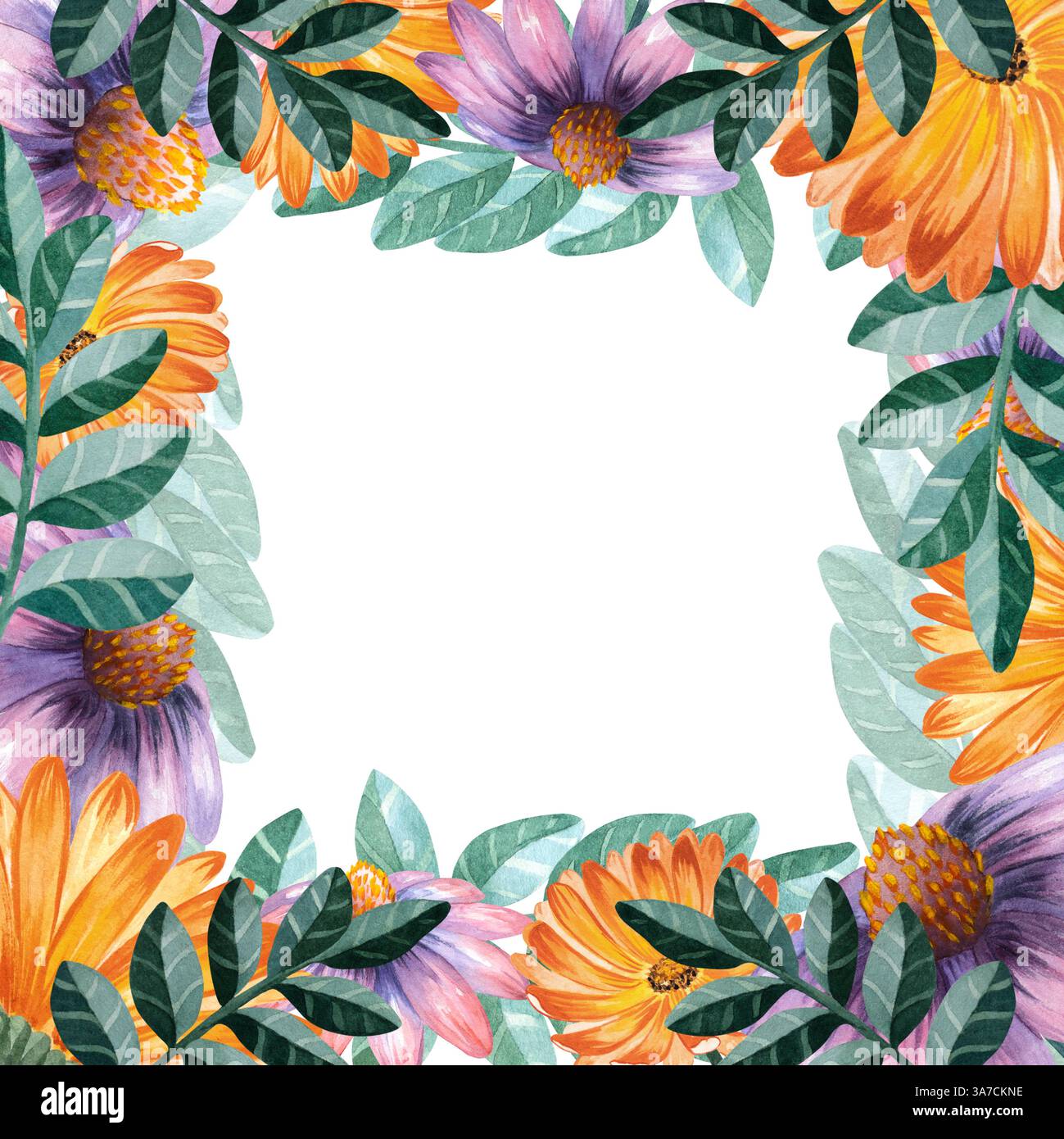 Herbology, frame, flowers, rose, calendula, echinacea, rosemary, leaves ...