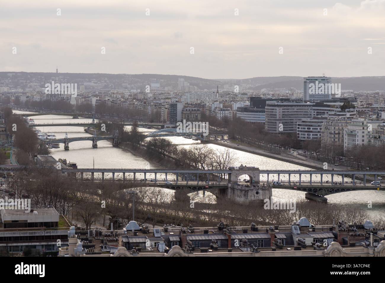 Paris city panorama with river Sienna, Swan Island and bridges, the ...
