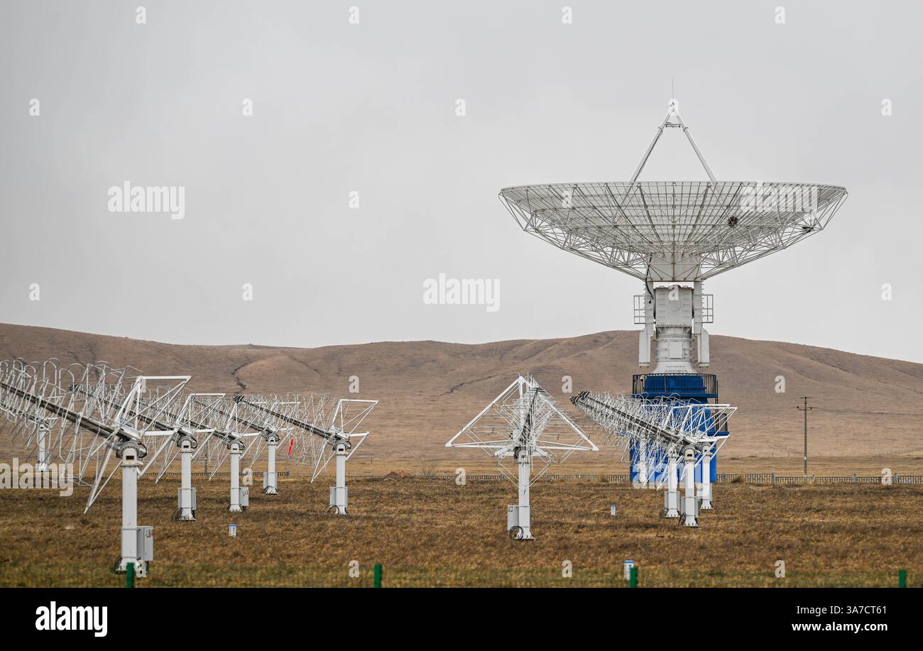 Xilin Gol. 24th Mar, 2025. This photo taken on March 24, 2025 shows the ...