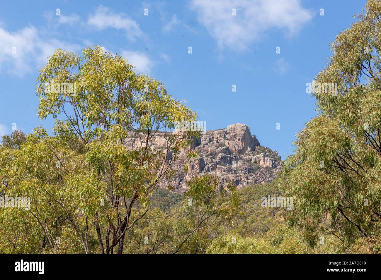 Mount Walsh, Mount Walsh National Park, Biggenden, Queensland ...