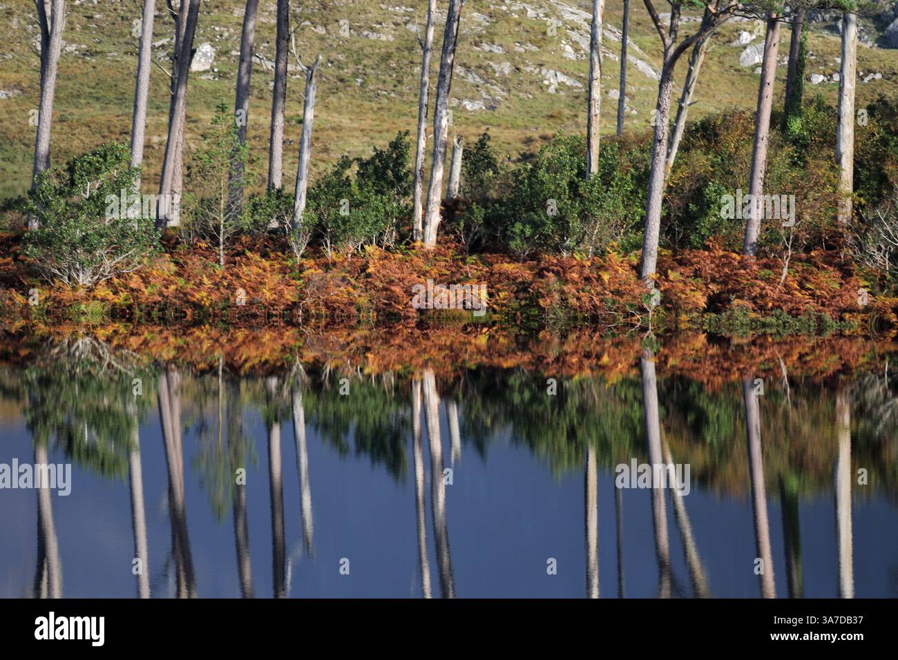 Irish landscapes and buildings Stock Photo - Alamy