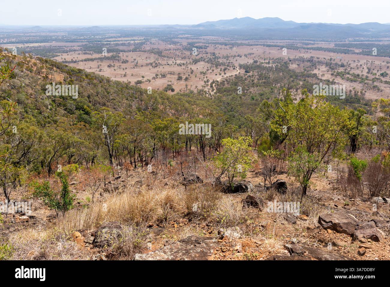 Mount Walsh, Mount Walsh National Park, Biggenden, Queensland ...