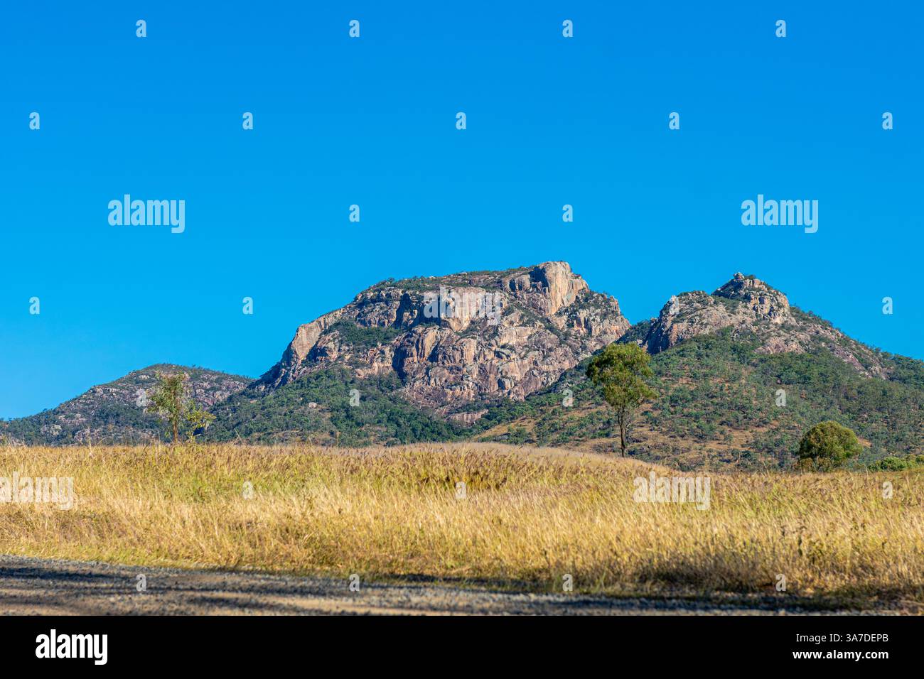 Mount Walsh, Mount Walsh National Park, Biggenden, Queensland ...