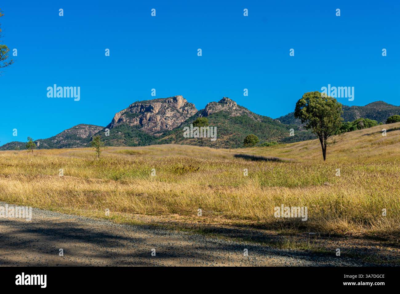 Mount Walsh, Mount Walsh National Park, Biggenden, Queensland ...