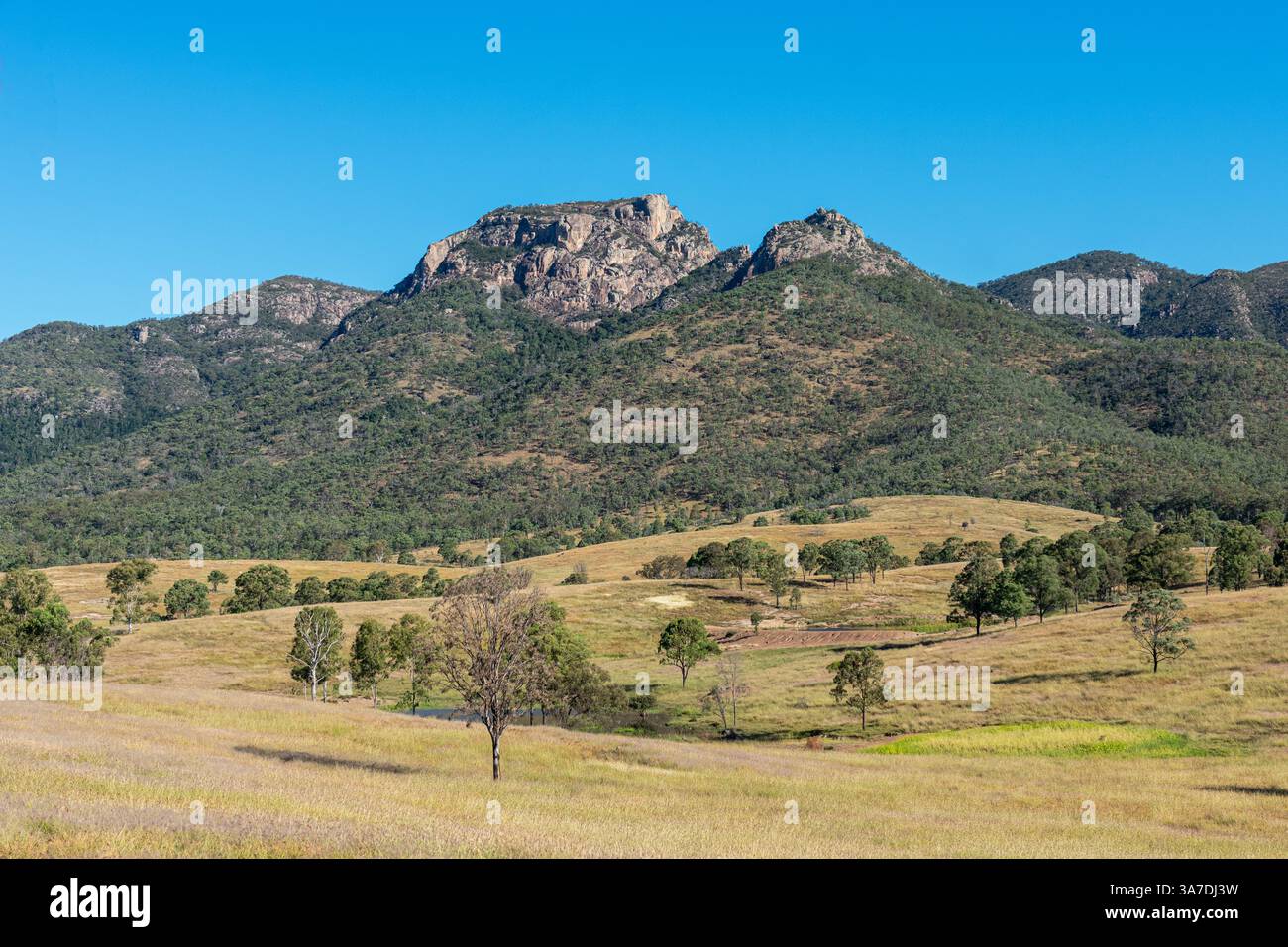 Mount Walsh, Mount Walsh National Park, Biggenden, Queensland ...