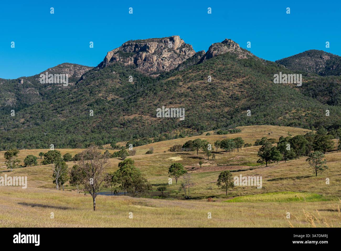 Mount Walsh, Mount Walsh National Park, Biggenden, Queensland ...